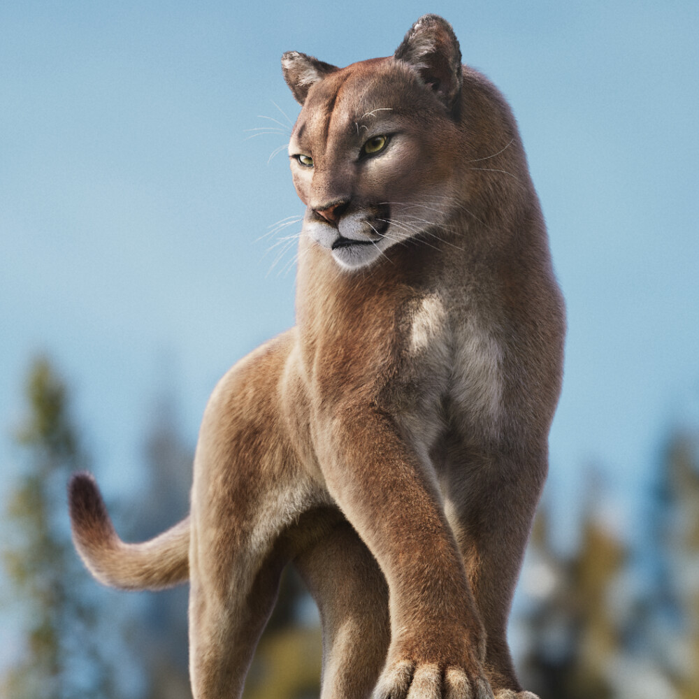 VFX models - Puma - MAYA Character Asset