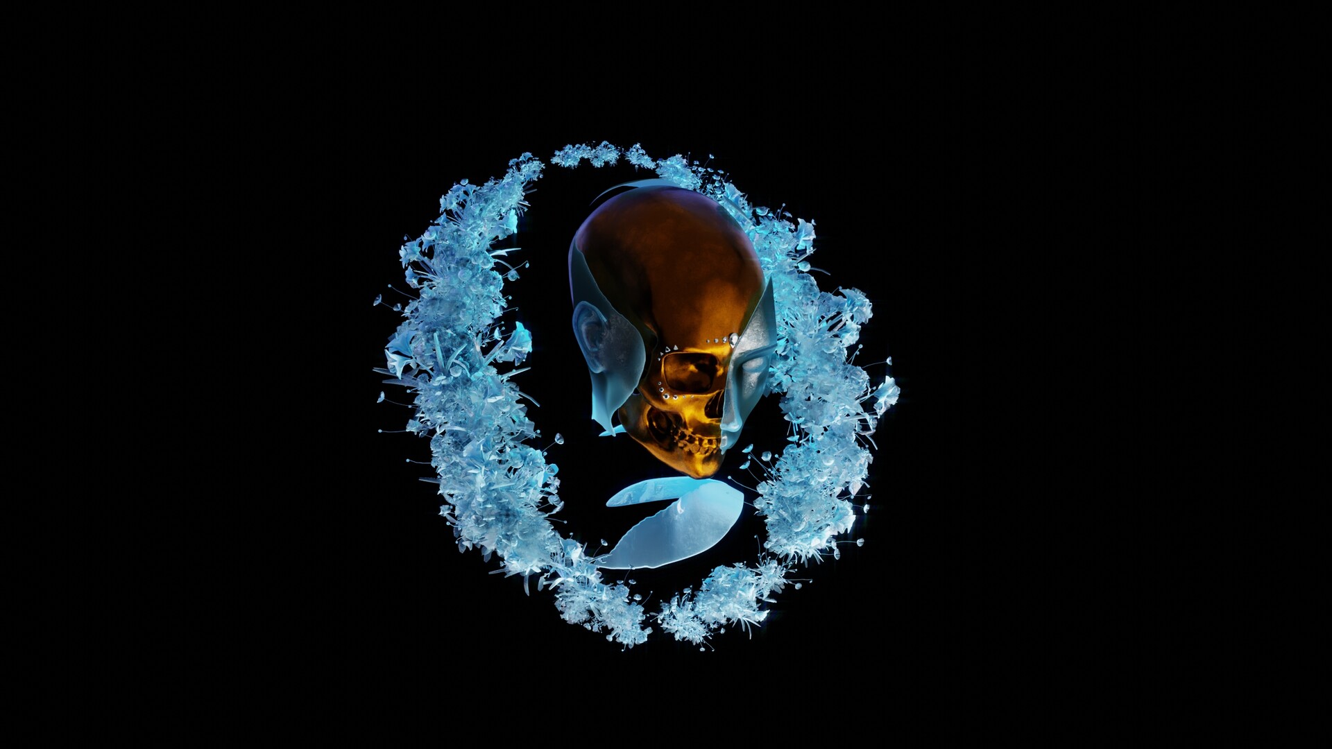 ArtStation - Scull Face Visualizer