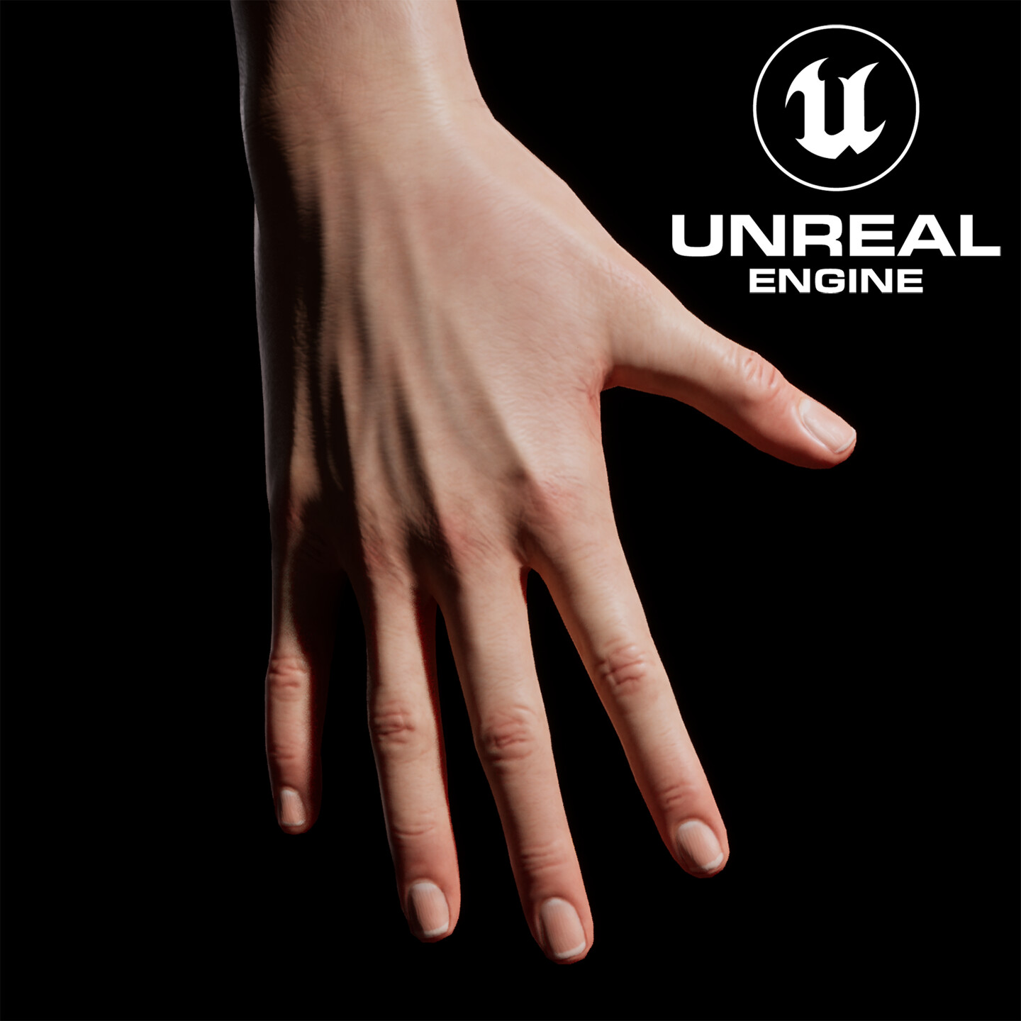 ArtStation - Game Ready Hands