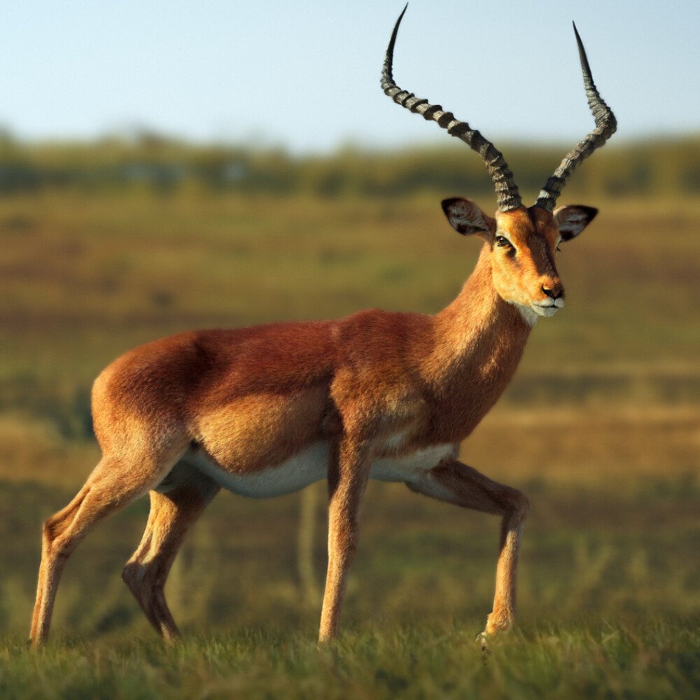 VFX models - Impala Animated - UE Character Asset