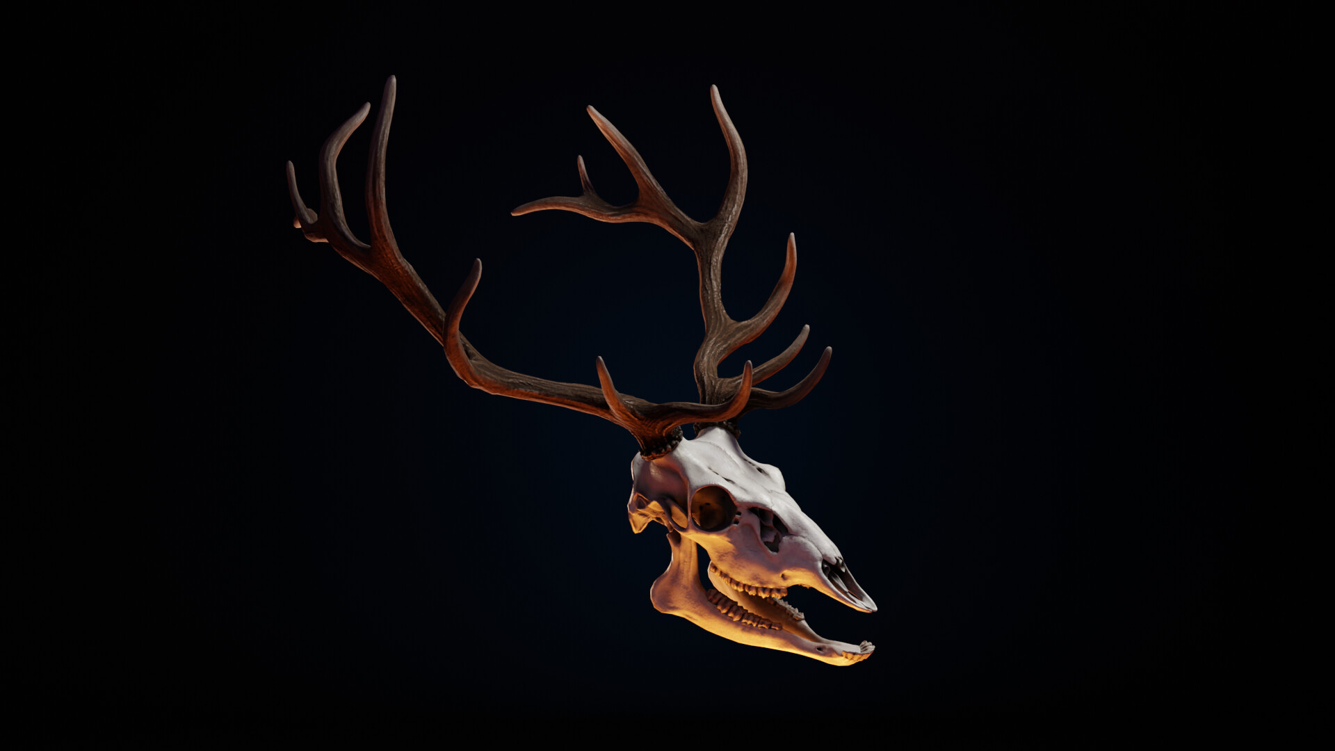 ArtStation - Deer Skull