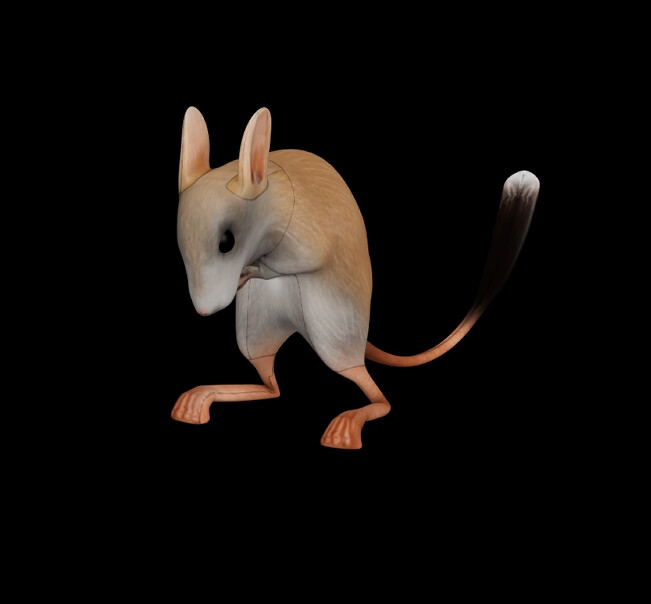 ArtStation - Animation Jerboas (الجربوع)