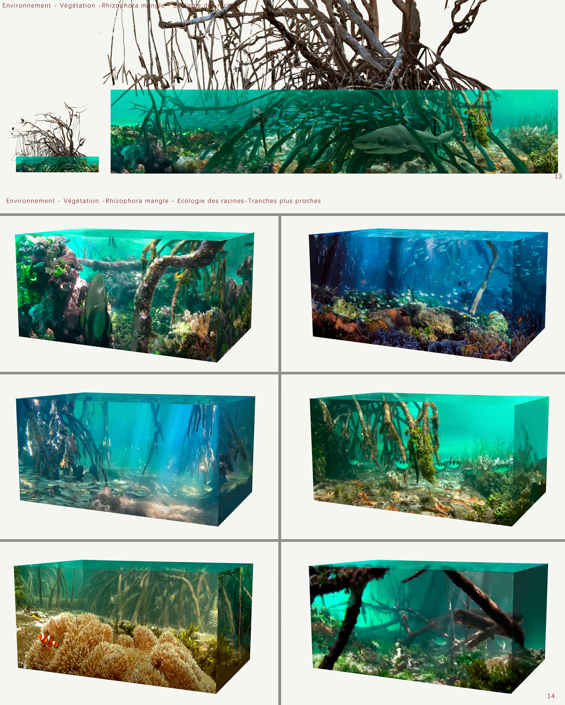 ArtStation - Biome design sheet