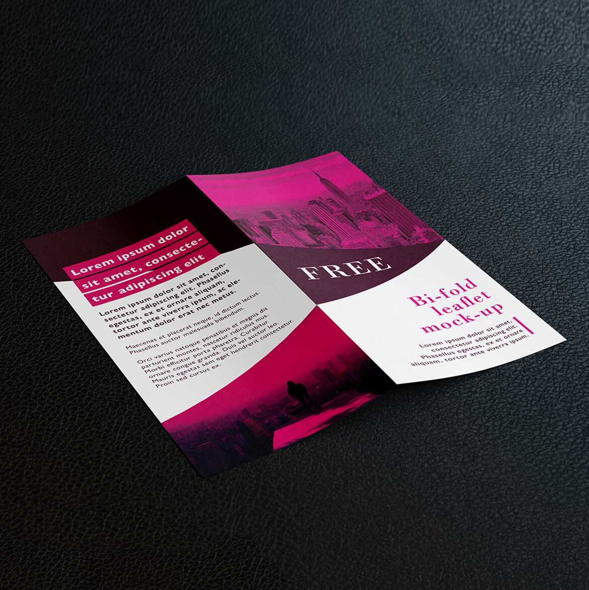 Naimul Islam Tonok - Bi-Fold Brochure