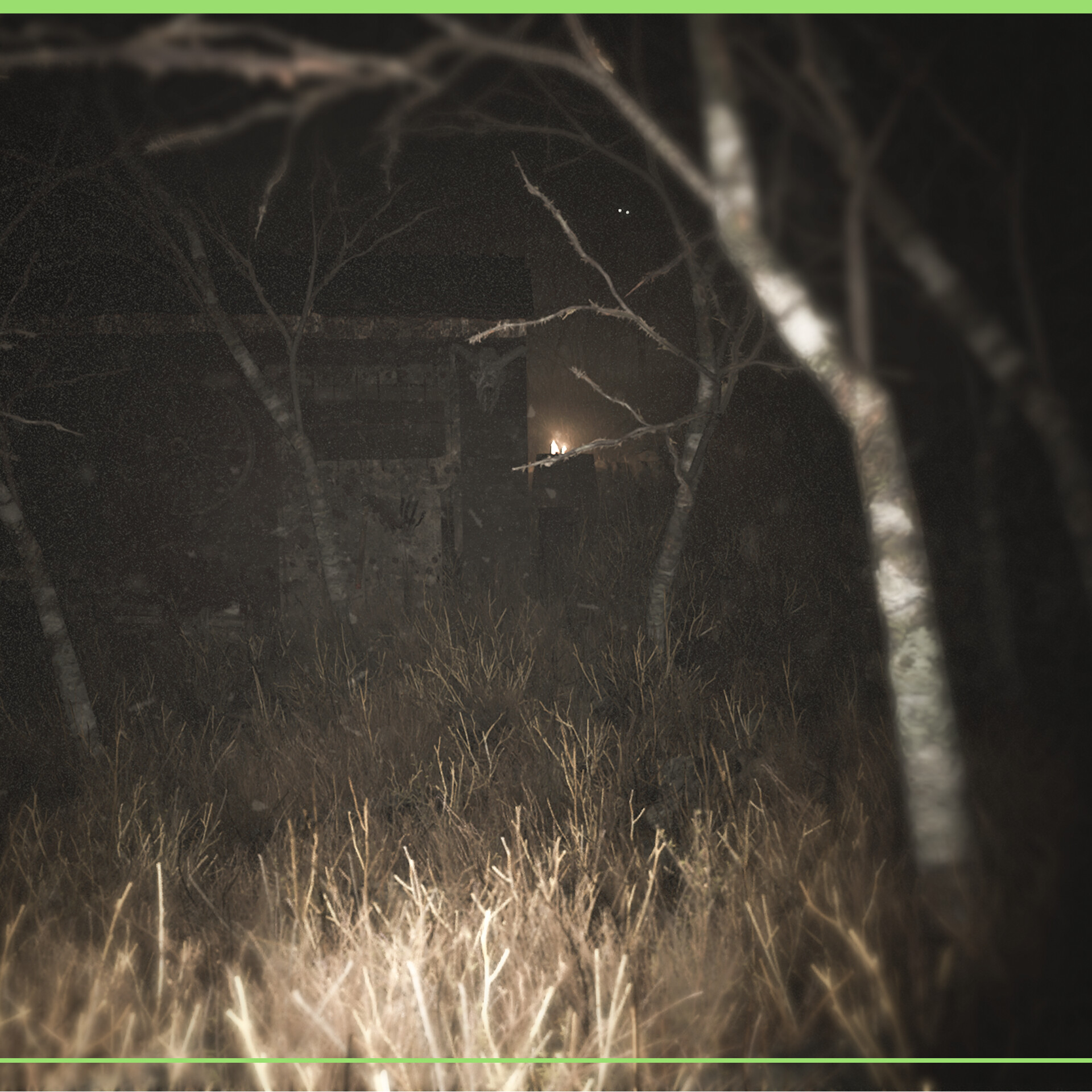 ArtStation - Horror Forest Environment