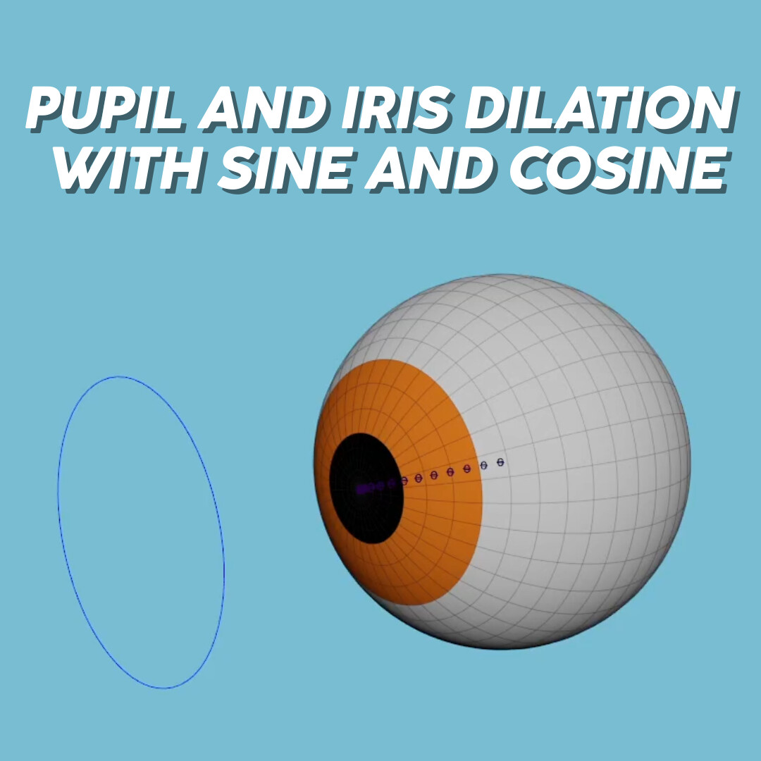 ArtStation - Pupil and Iris Dilation Rig with Sine and Cosine
