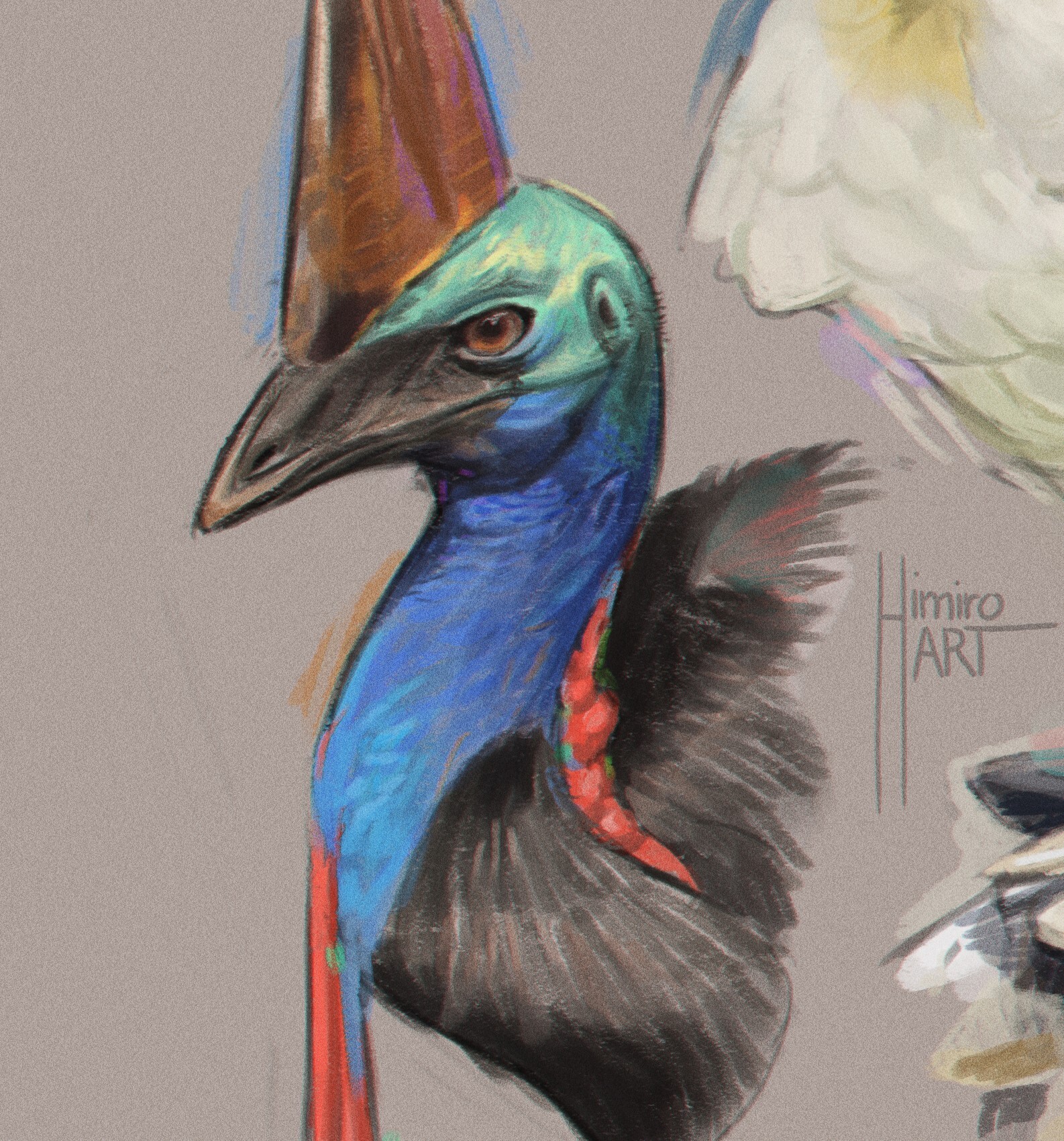 ArtStation - Studies