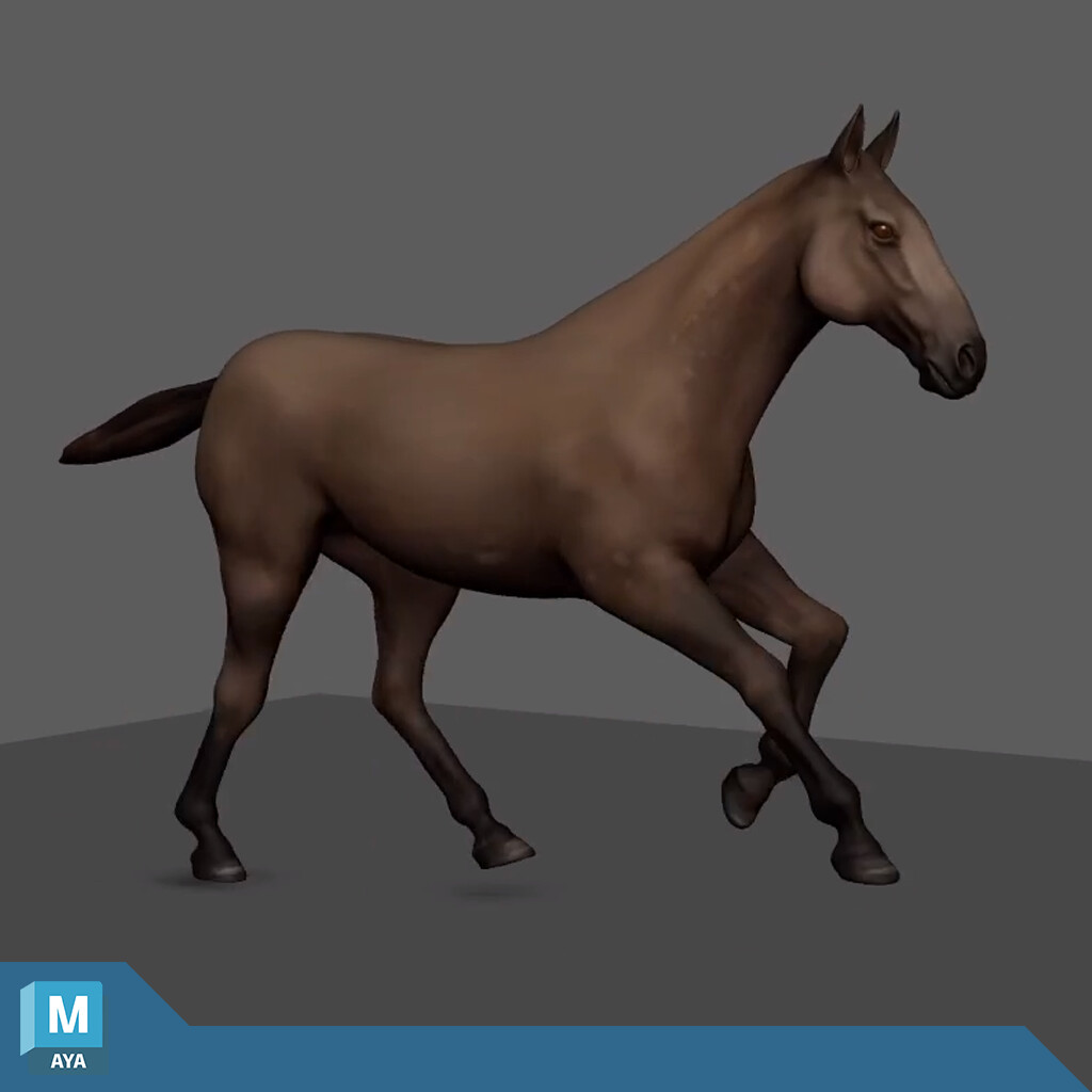 ArtStation - Horse Gallop Cycle