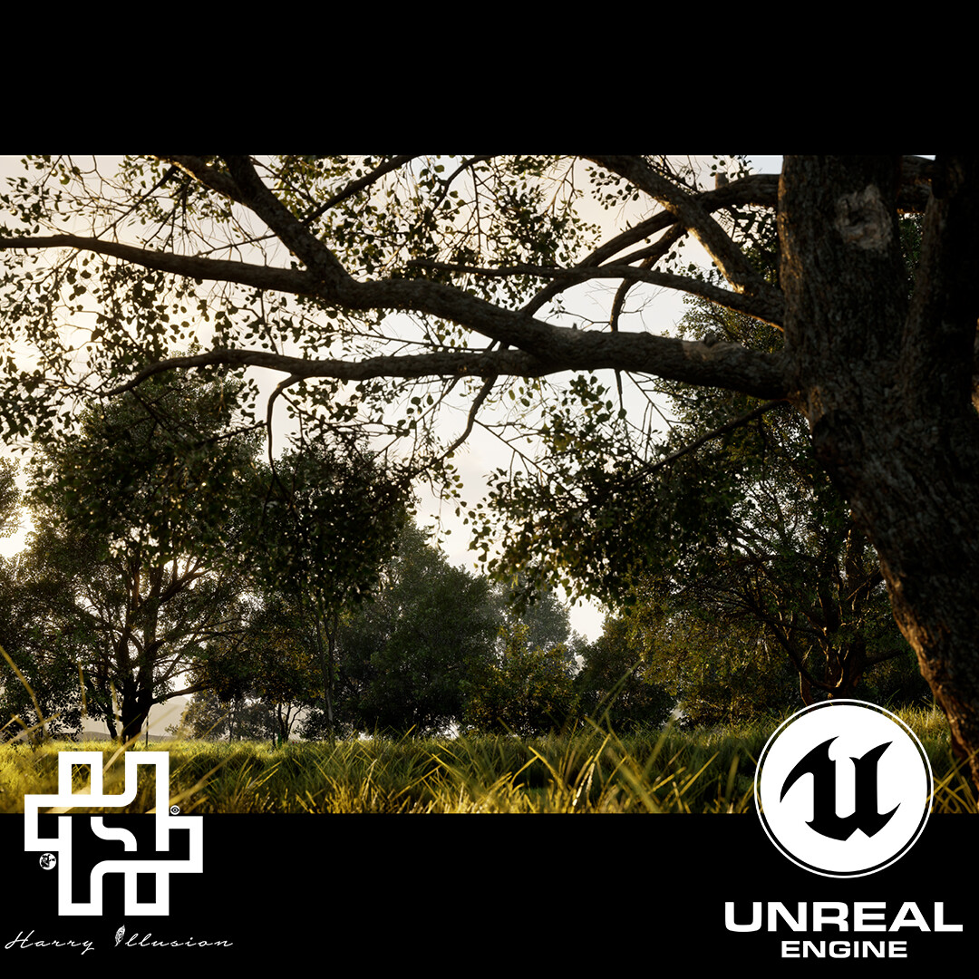 ArtStation - Realistic Forest in UNREAL ENGINE 5