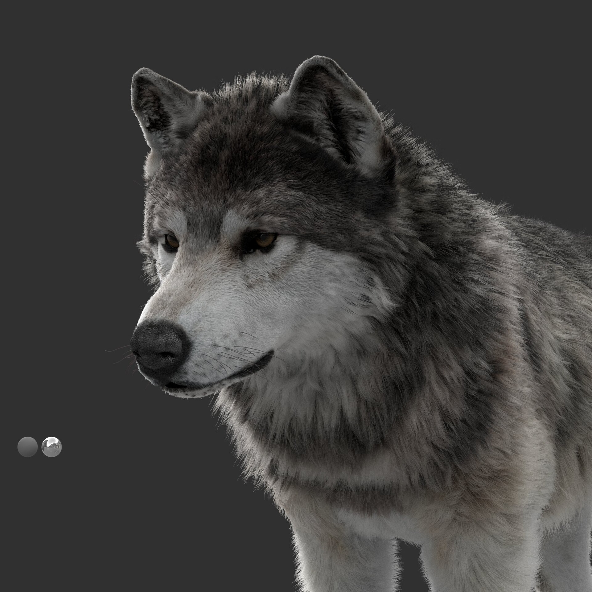 ArtStation - Wolf Project