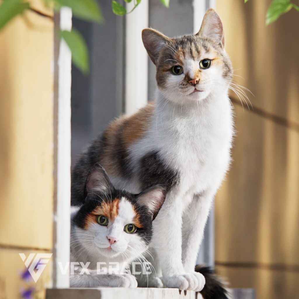 VFX models - Calico Cat Animation - UE Character Asset