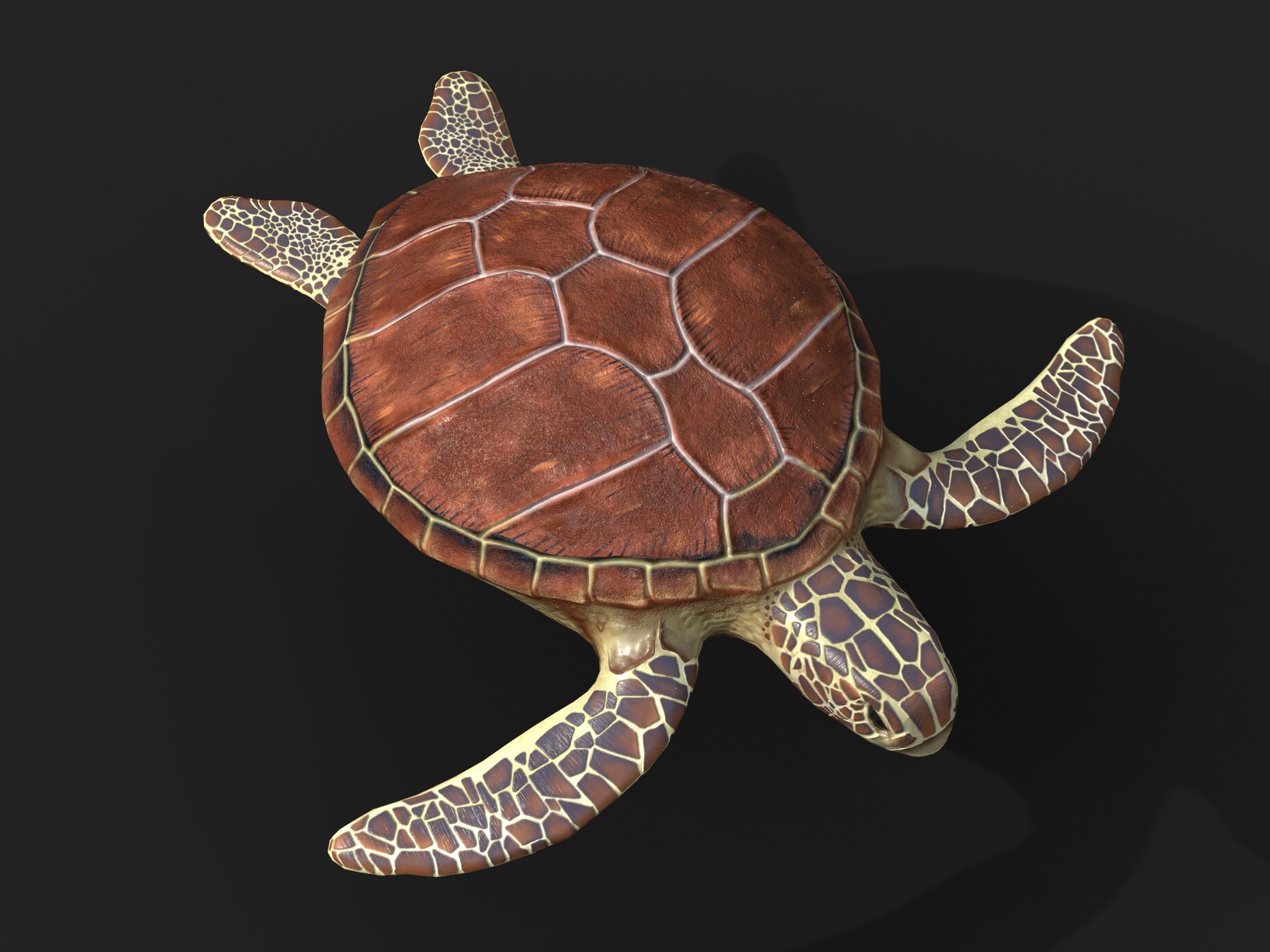 ArtStation - Shelldon the turtle
