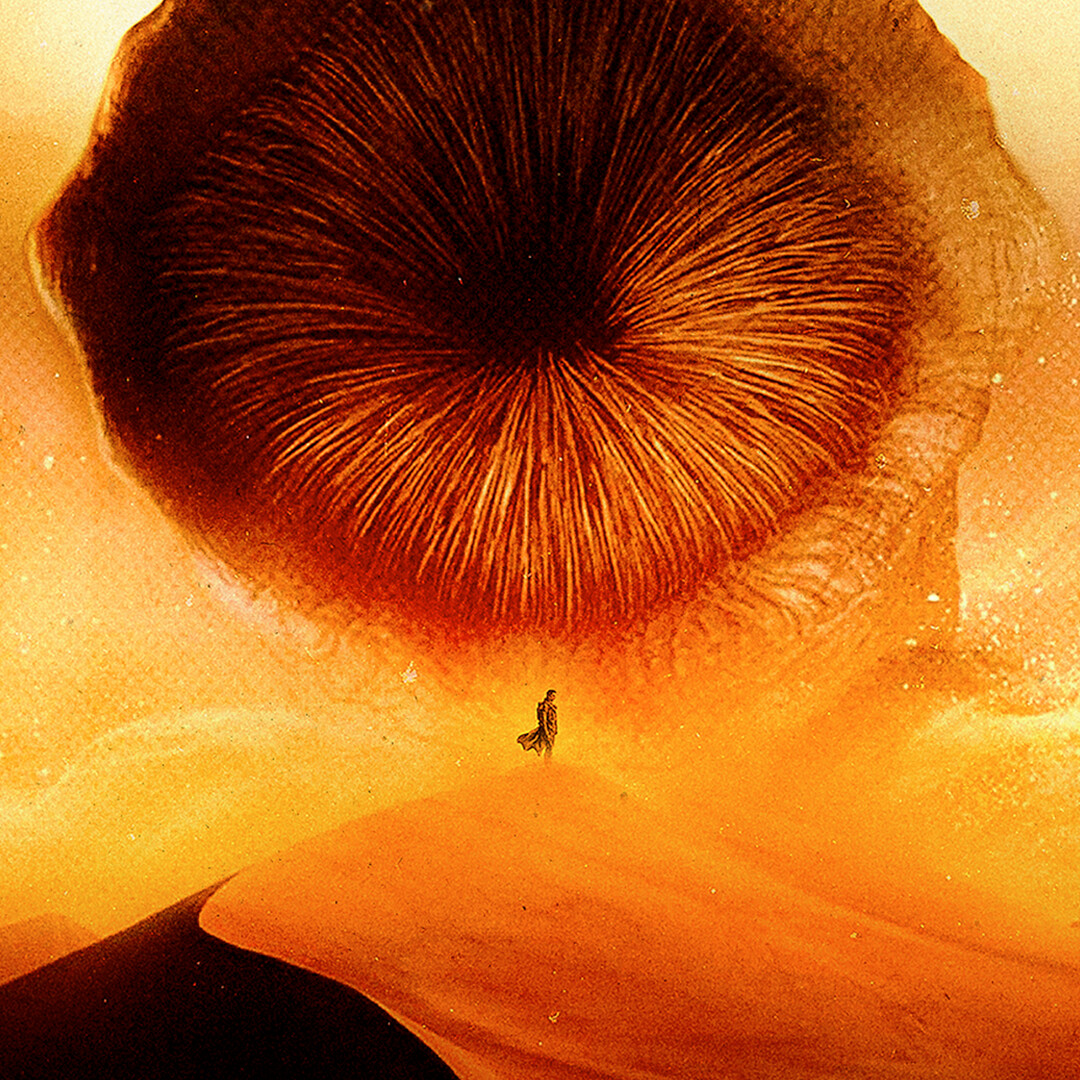 ArtStation - DUNE PART TWO Fan Art
