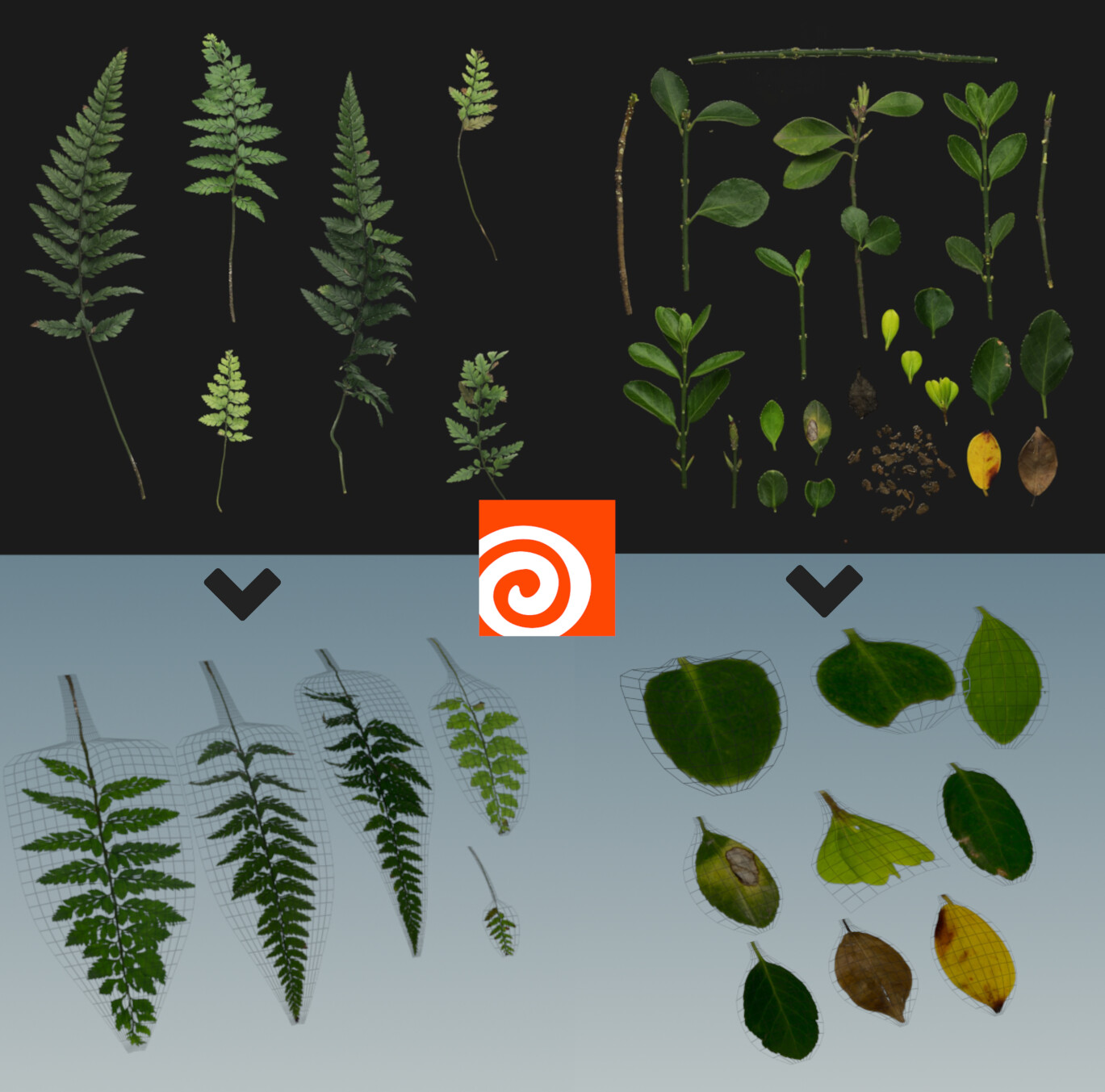 ArtStation - HDA leaf from atlas