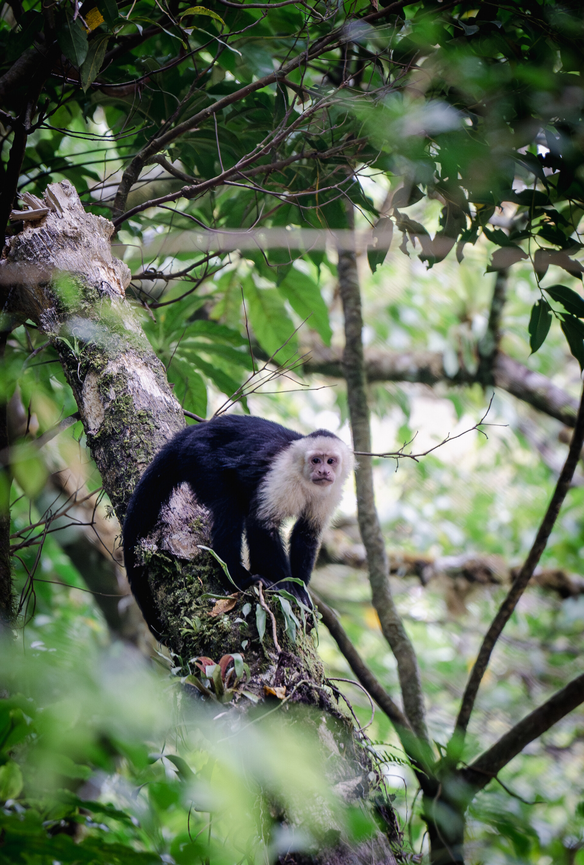 Spencer Fitch - Photography