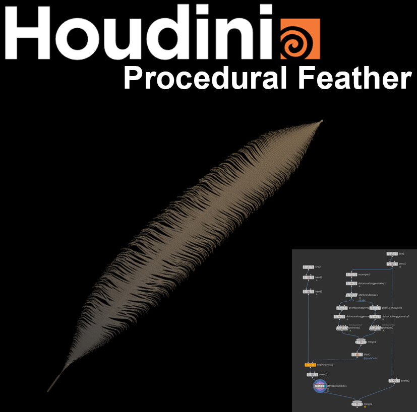 ArtStation - Houdini _ Procedural Feather
