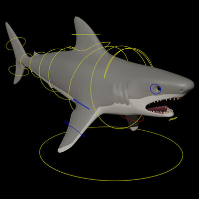 ArtStation - Great white shark Rigging & Animation