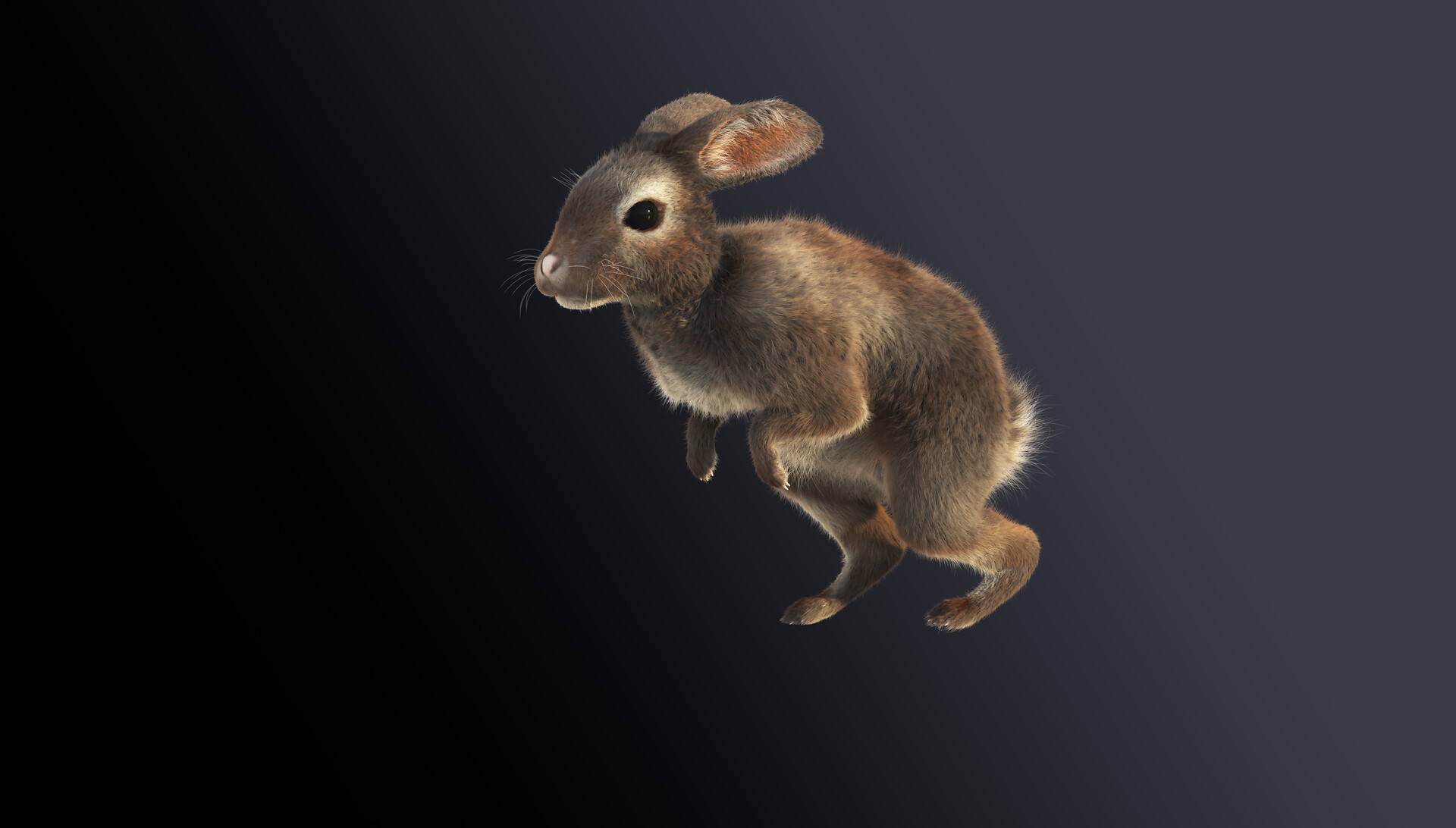 ArtStation - rabbit groom