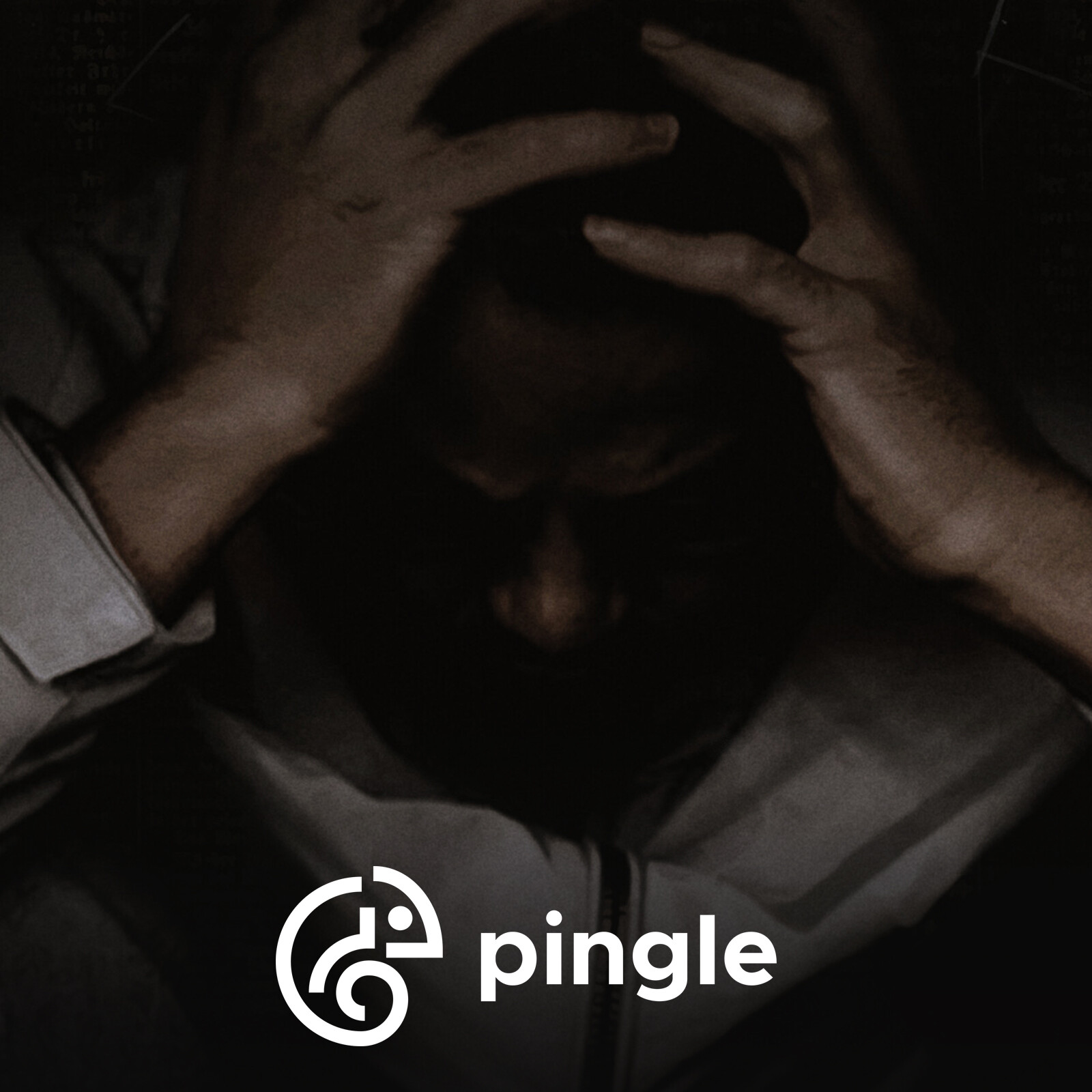 Pingle Studio - Witness