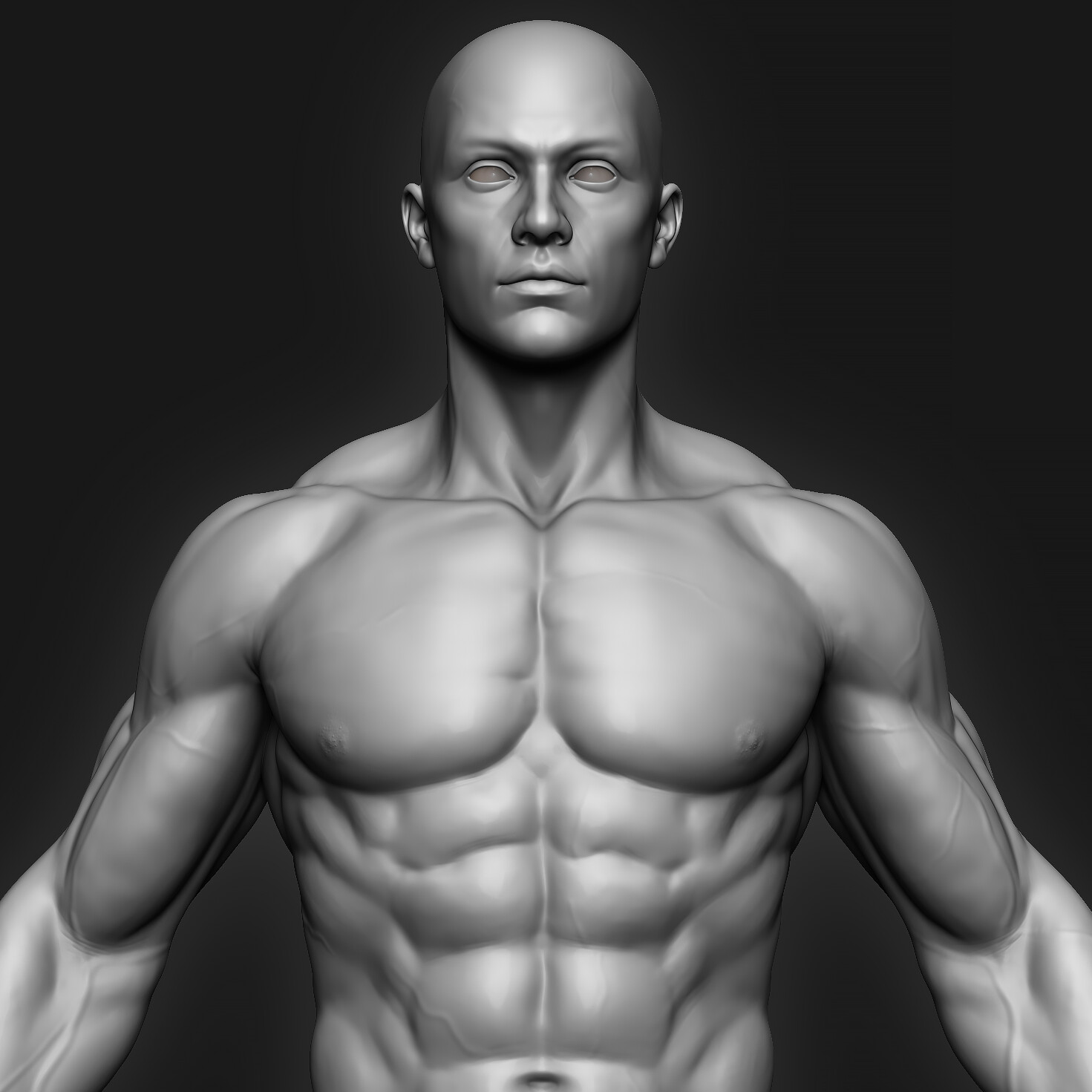 ArtStation - Human Male Anatomy