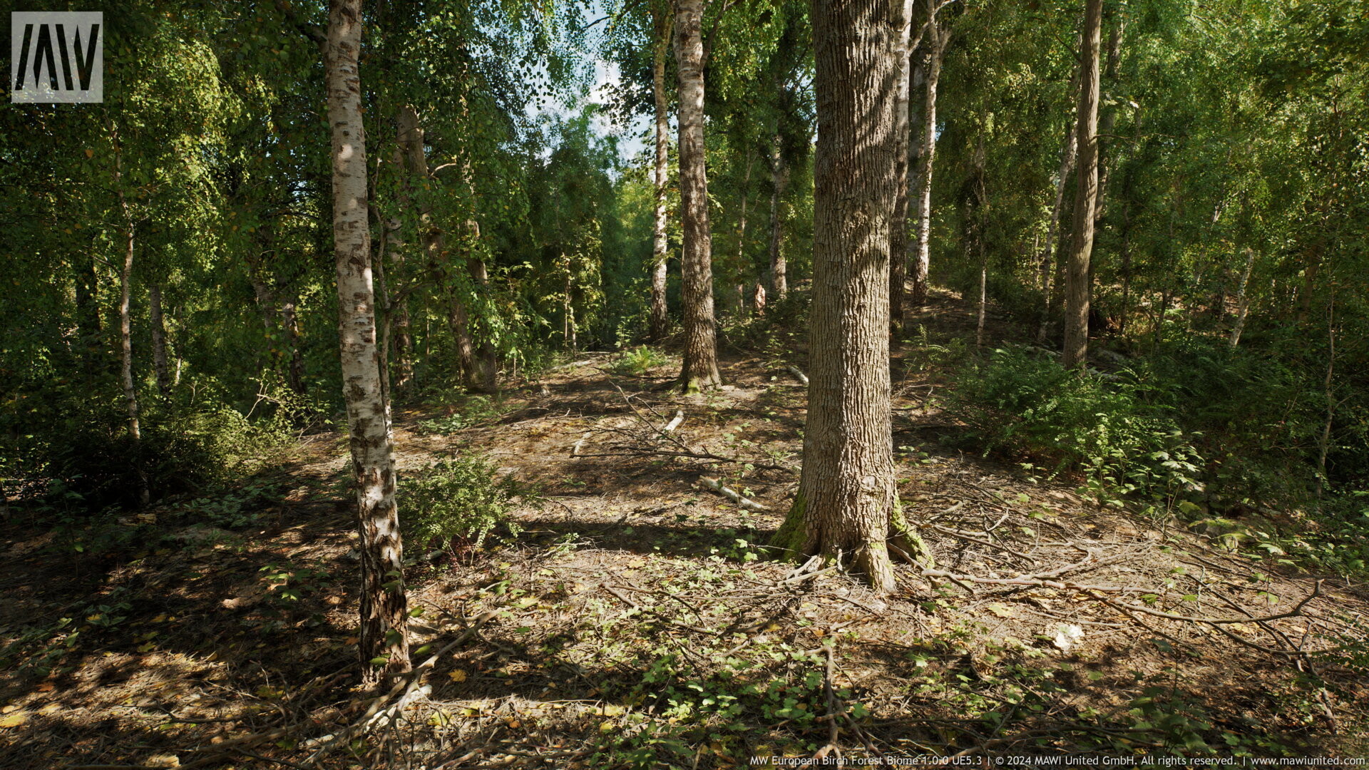 ArtStation - MW Birch Forest Biome - UE5.3 Forest Walk