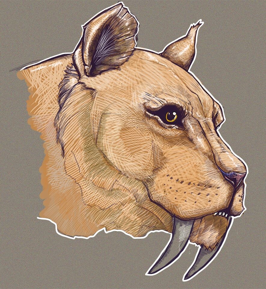 ArtStation - Saber tooth cat Concept art and model