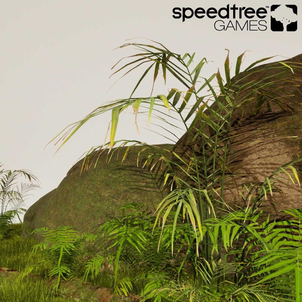 ArtStation - Foliage Study