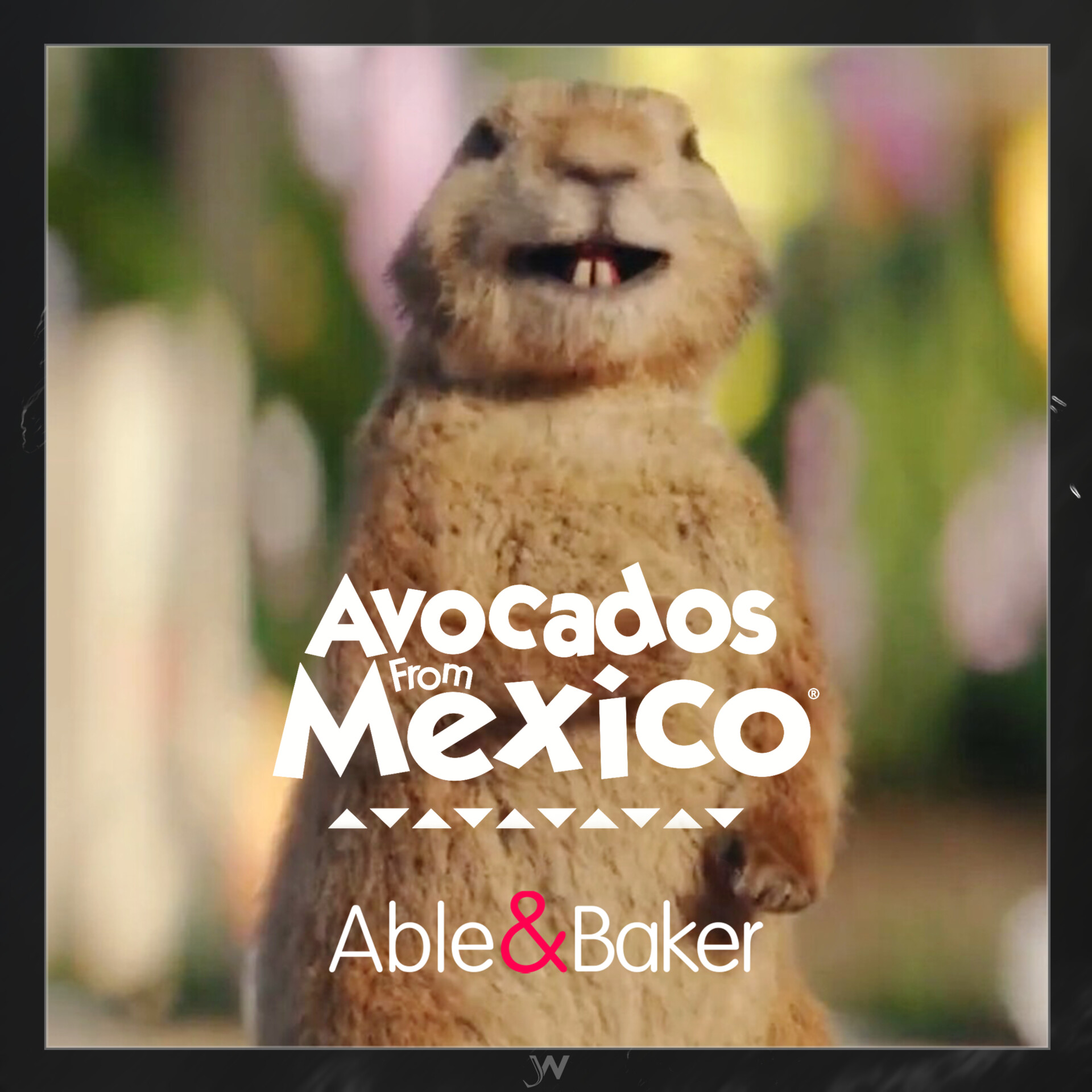 ArtStation - Avocados From Mexico "Adam and Eve" | Super Bowl Commercial