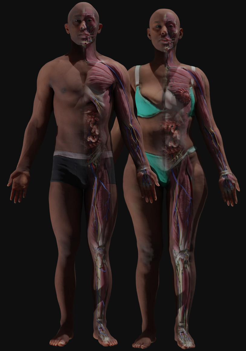 ArtStation - Black Real Humans Anatomy Pack