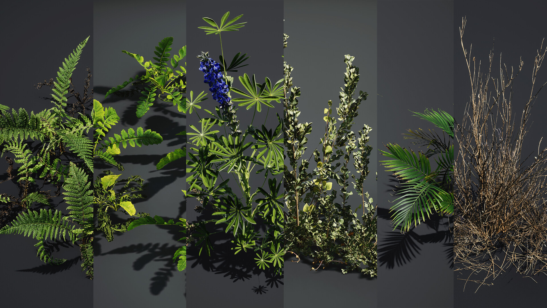 ArtStation - Quixel Megascans Plants Vol. 5