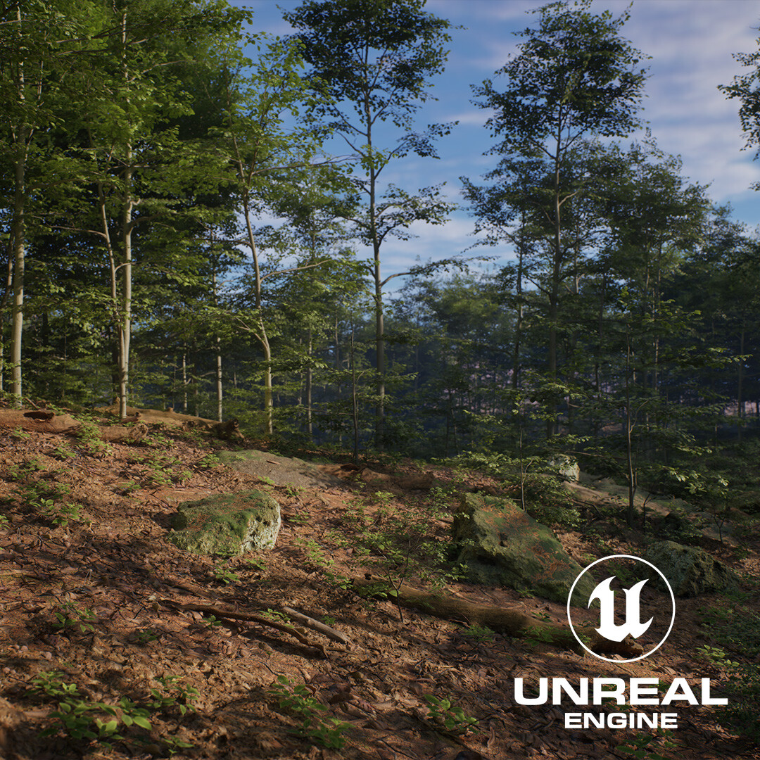 ArtStation - Procedural Environment PCG / Unreal Engine 5