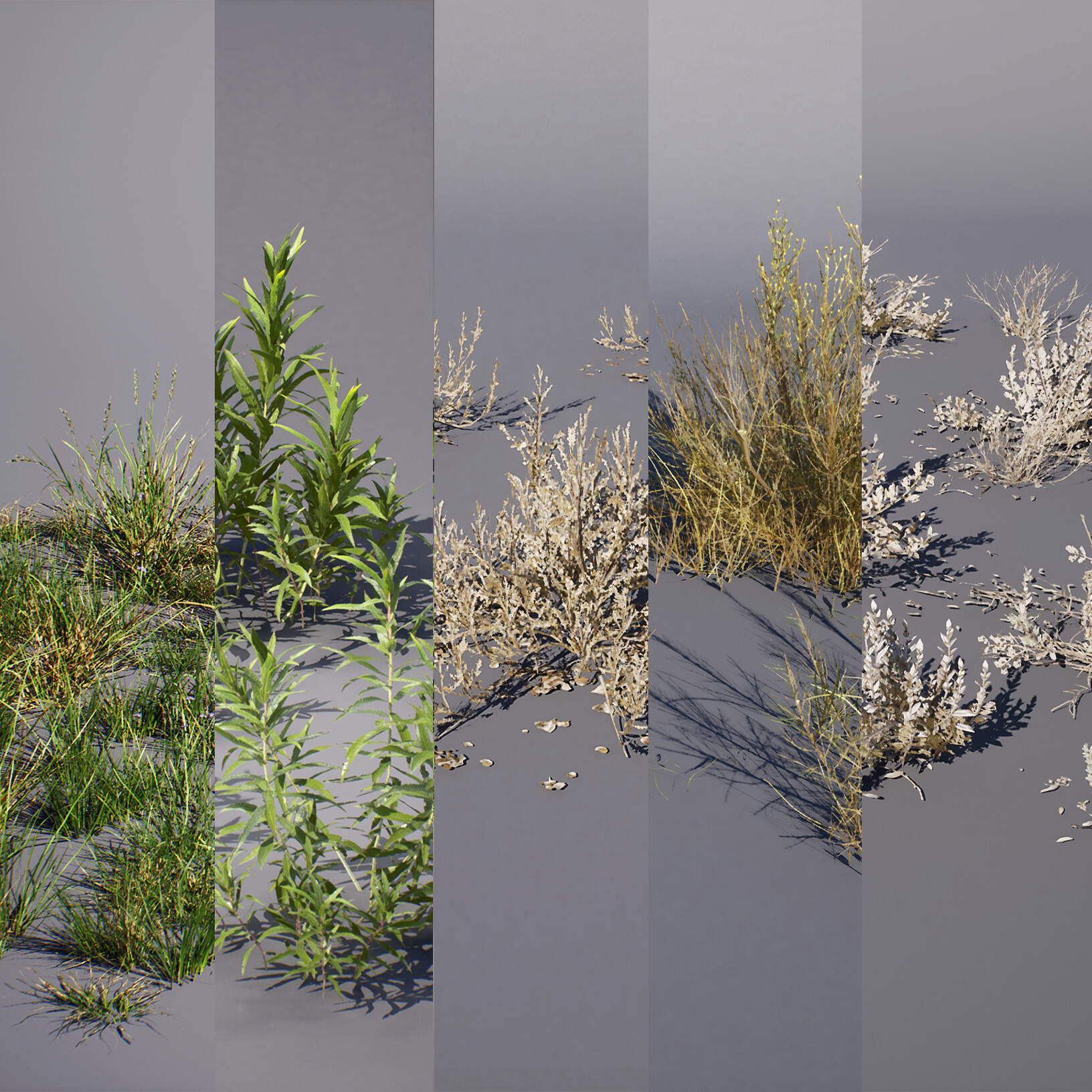 ArtStation - Quixel Megascans Plants Vol. 2