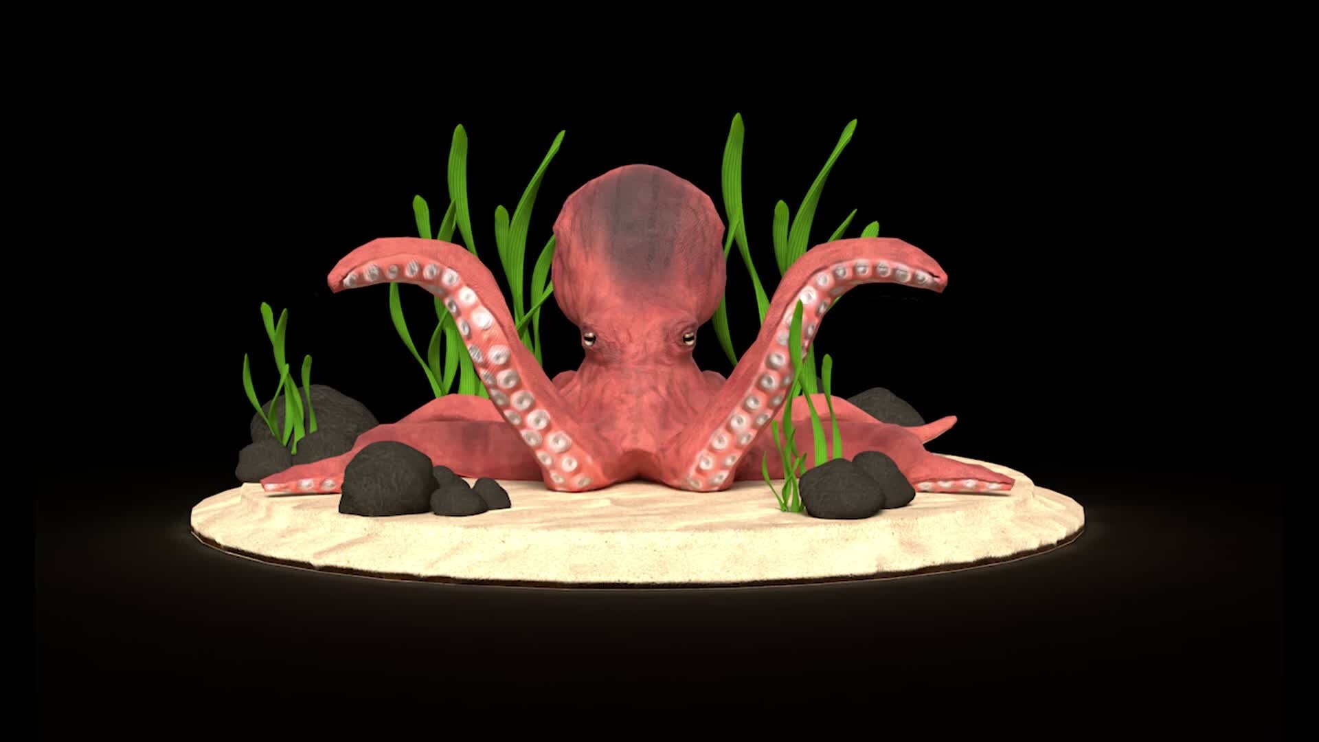 ArtStation - Octopus