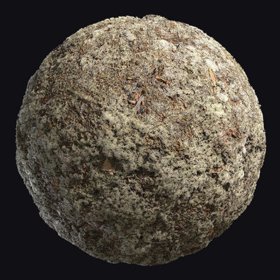 ArtStation - Pine Forest Lichen Material