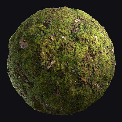 ArtStation - Spruce Forest Moss Material