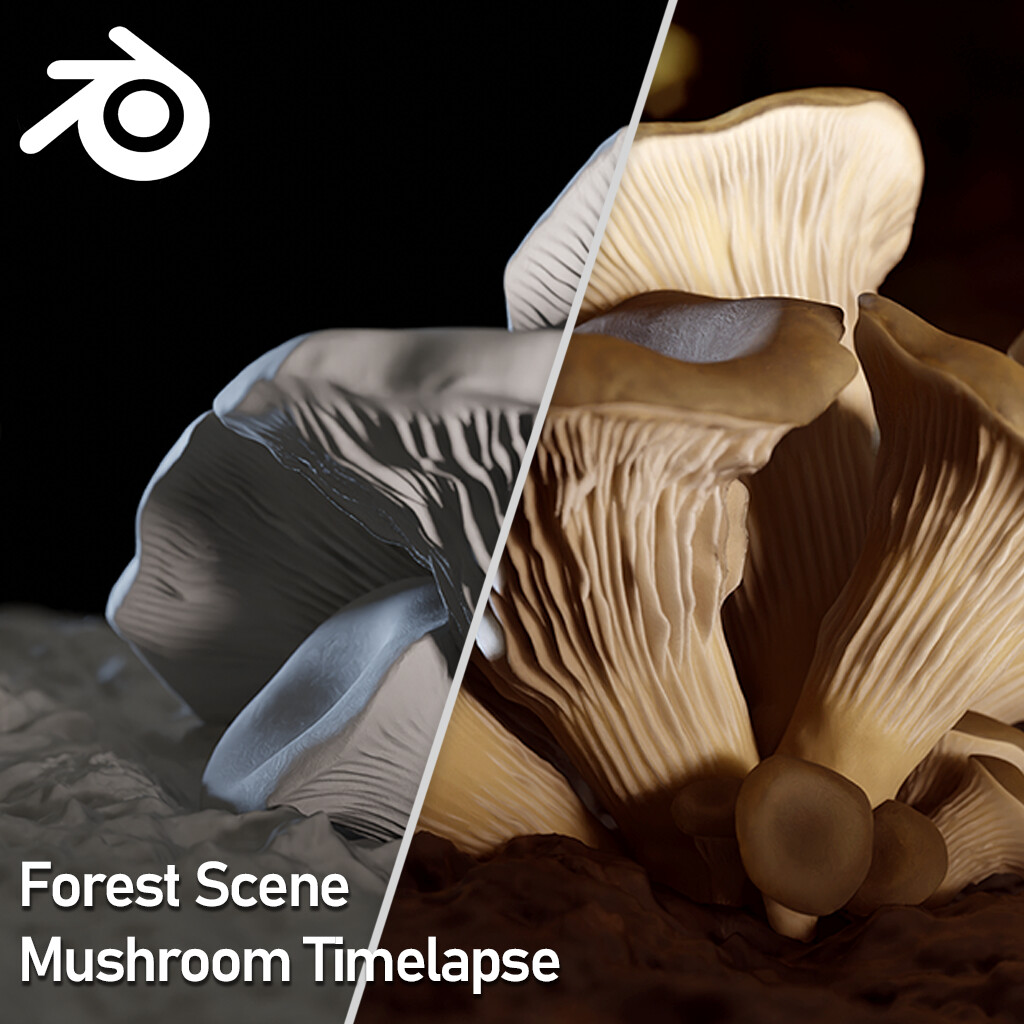 ArtStation - Forest Scene Mushroom Timelapse
