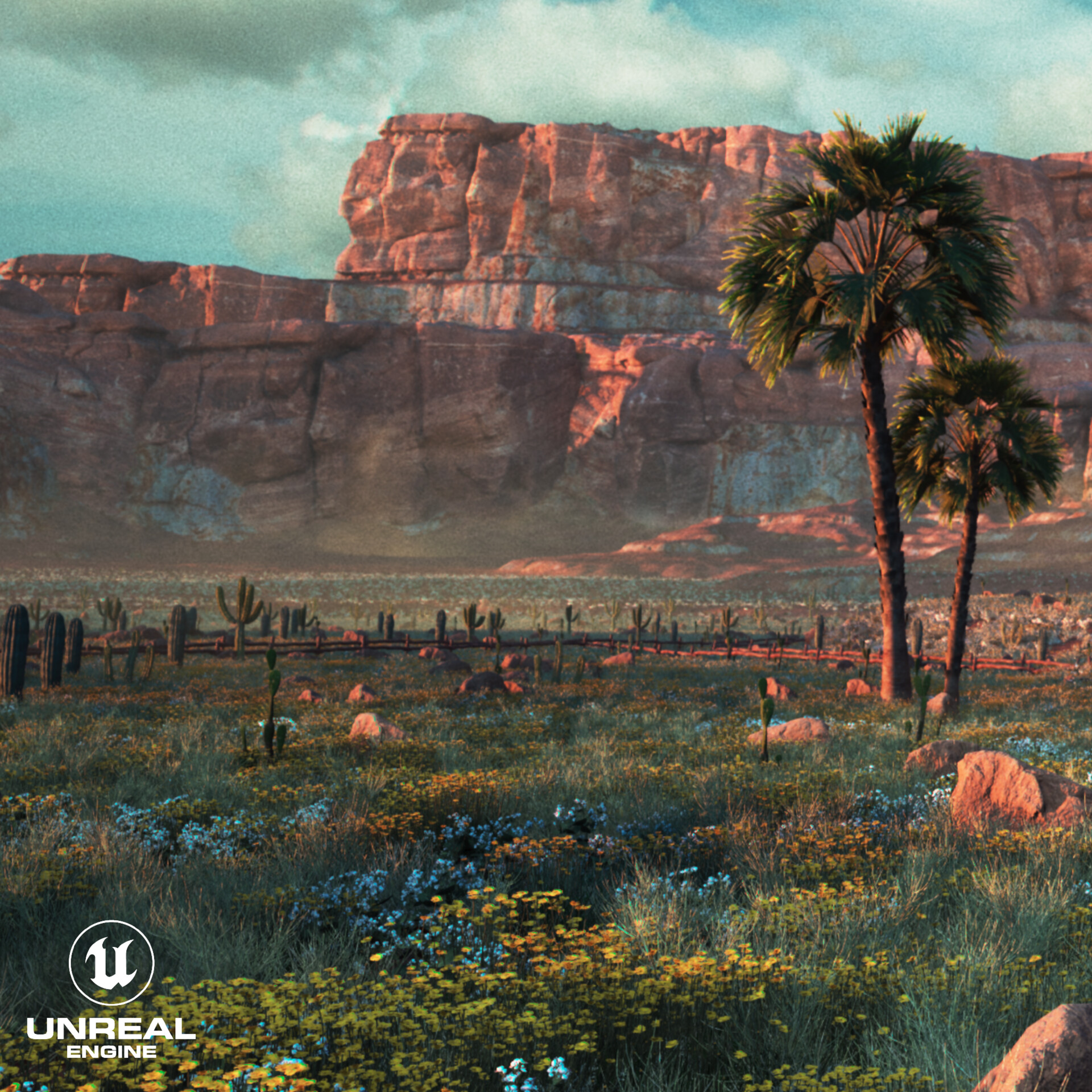 ArtStation - Desert Bloom