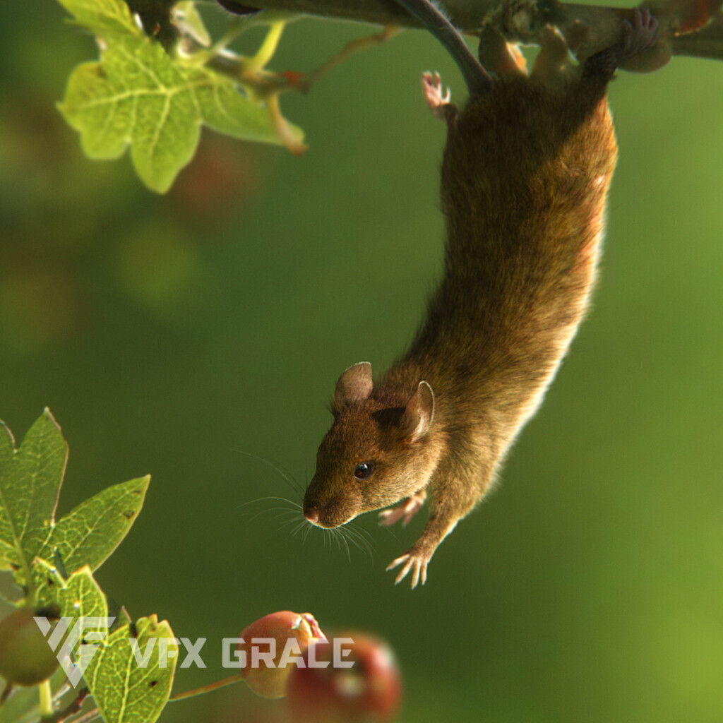 ArtStation - Rat Animated - MAYA Character Asset