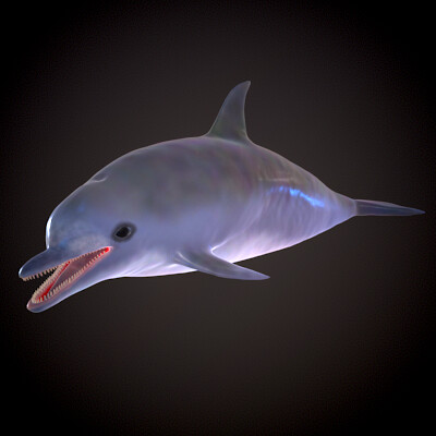 ArtStation - Dolphin 3D Character Model