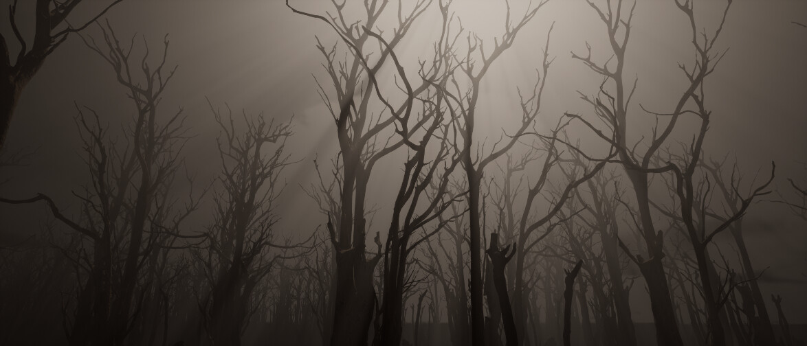 ArtStation - A faint light shines through the trees in a dead forest