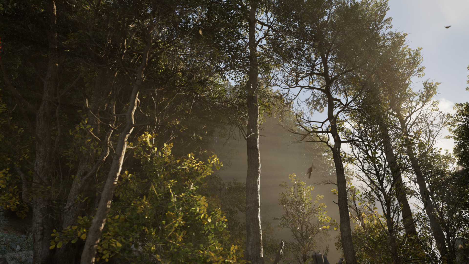 ArtStation - Nature's Symphony - Unreal Engine