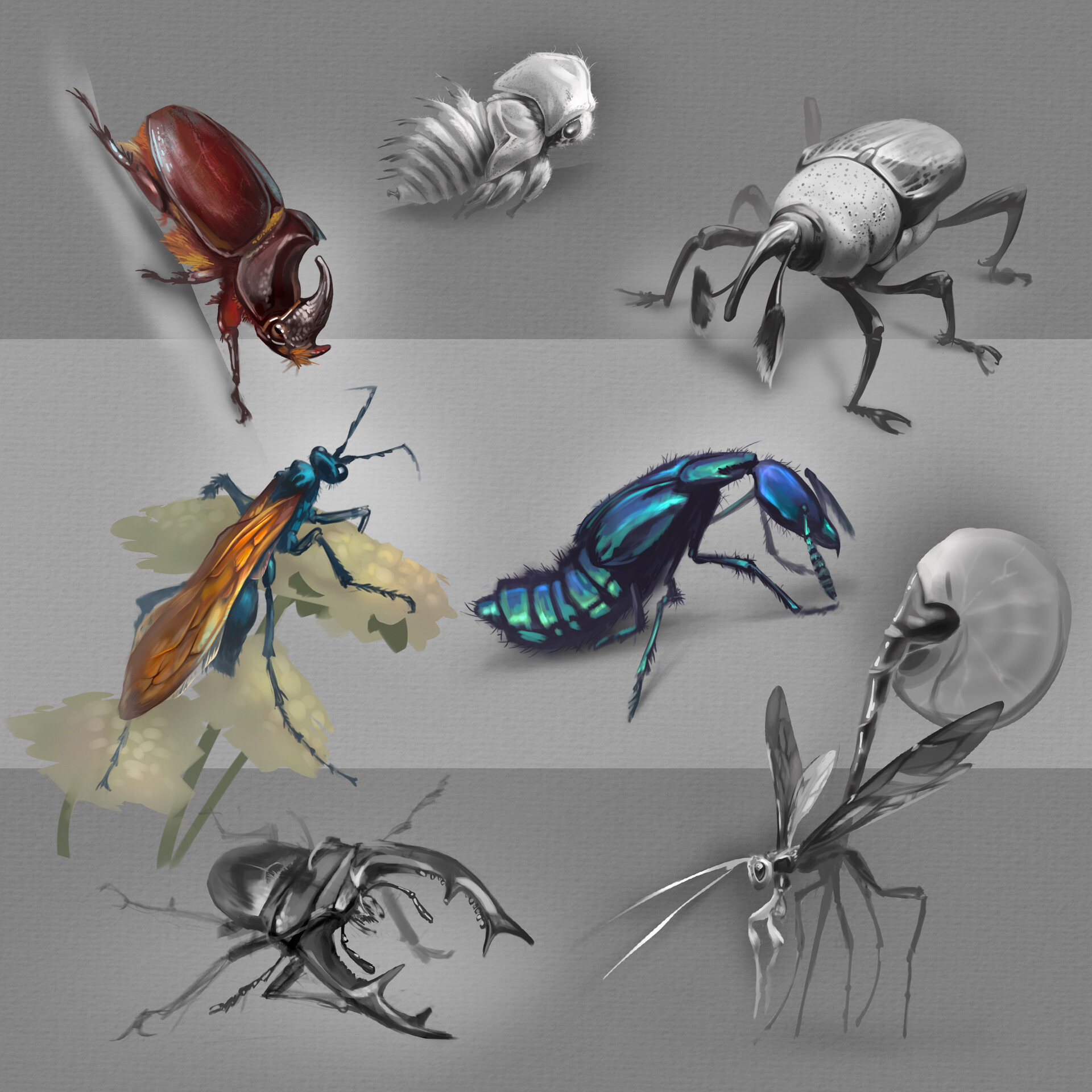 ArtStation - Insects