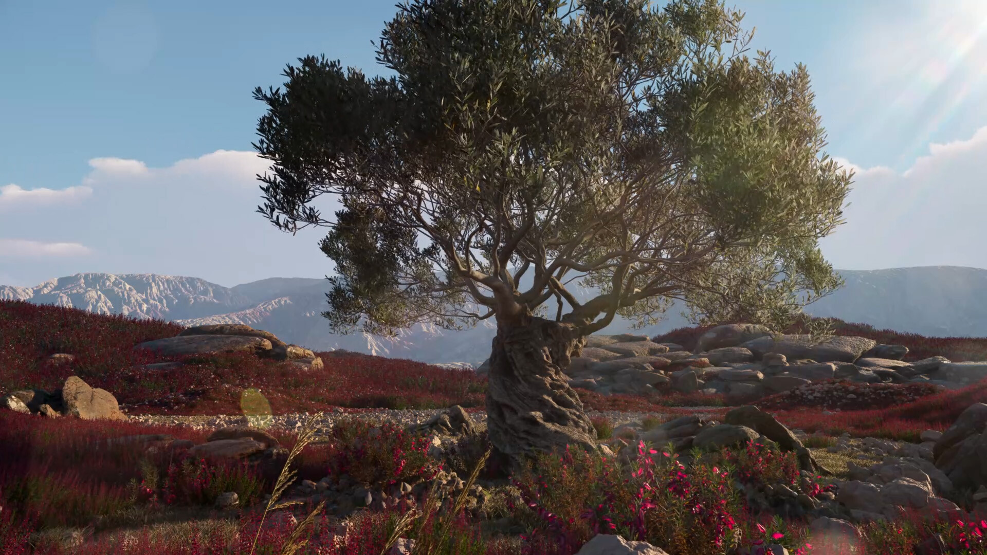 ArtStation - Mistral (Animation 3D)