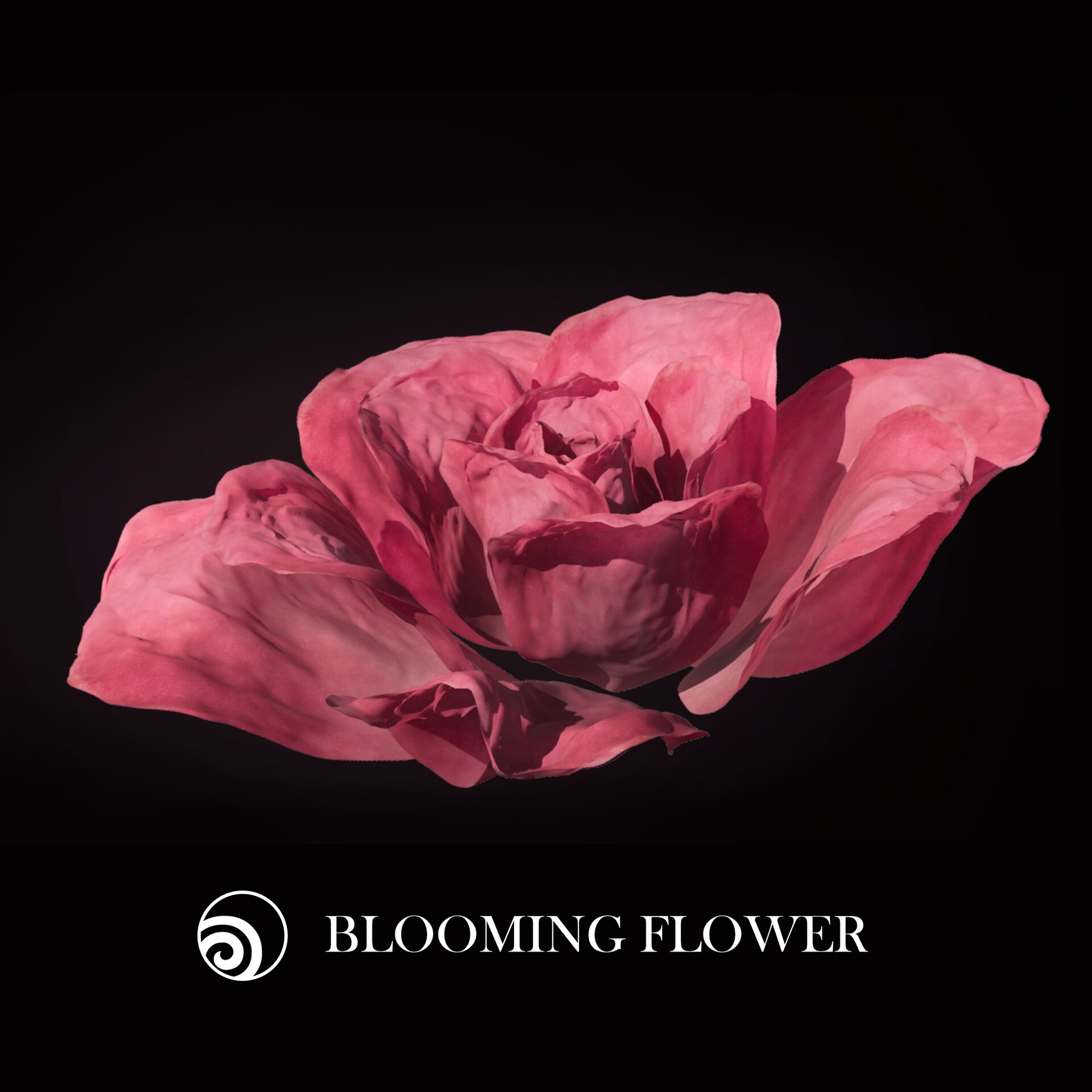 ArtStation - Bloom Flower