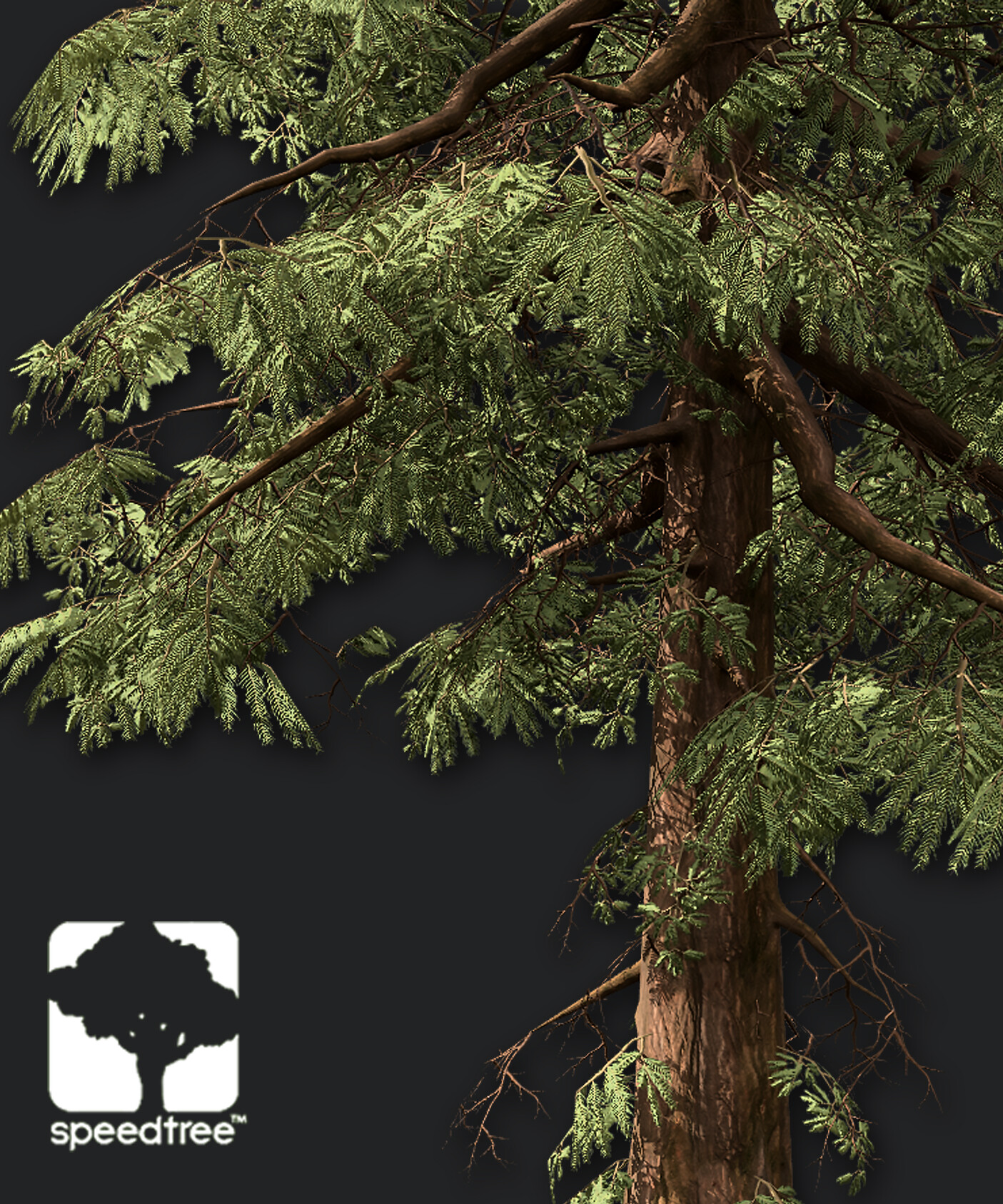 ArtStation - SpeedTree Studies - Low Poly