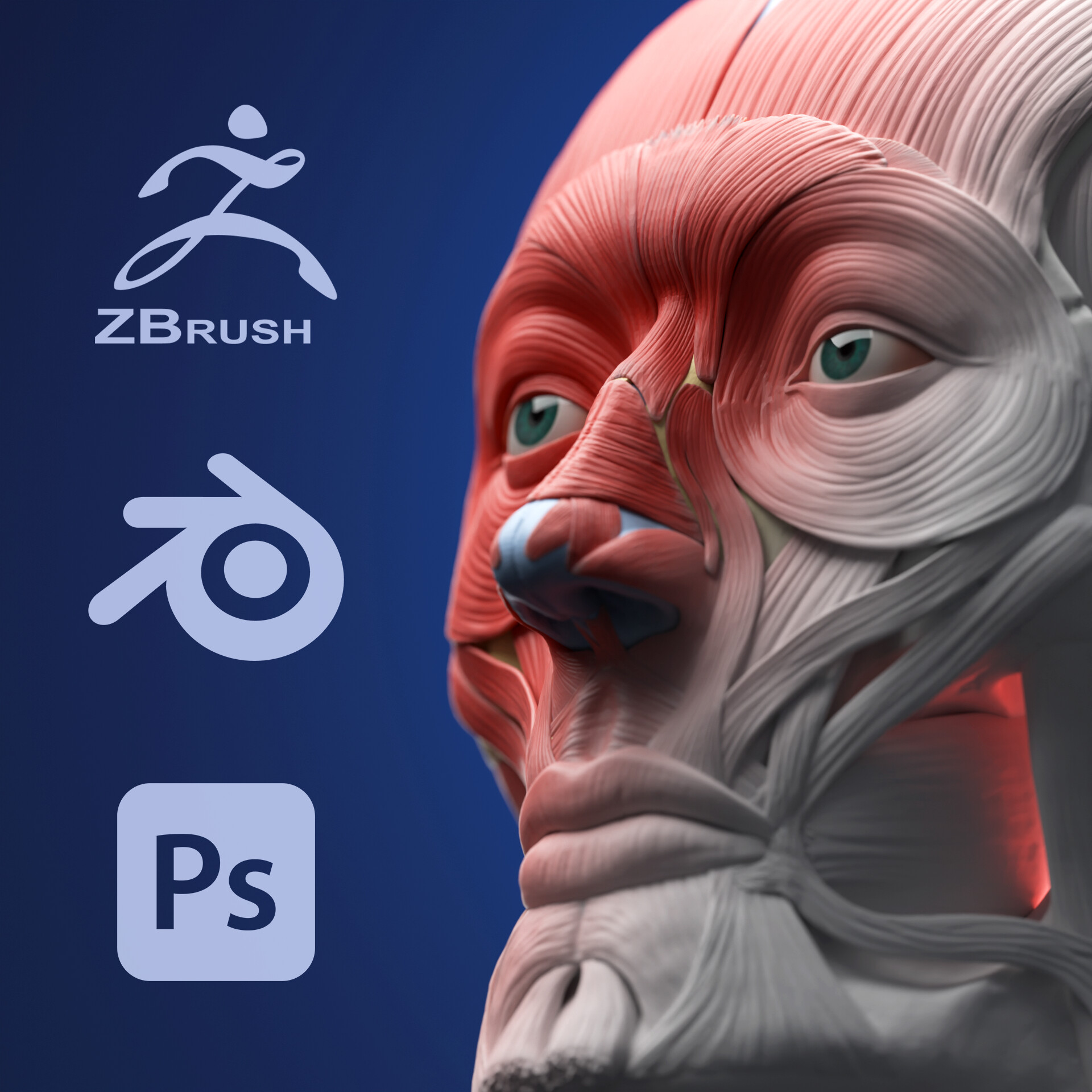 ArtStation - Study of Facial Muscles in the Human Face