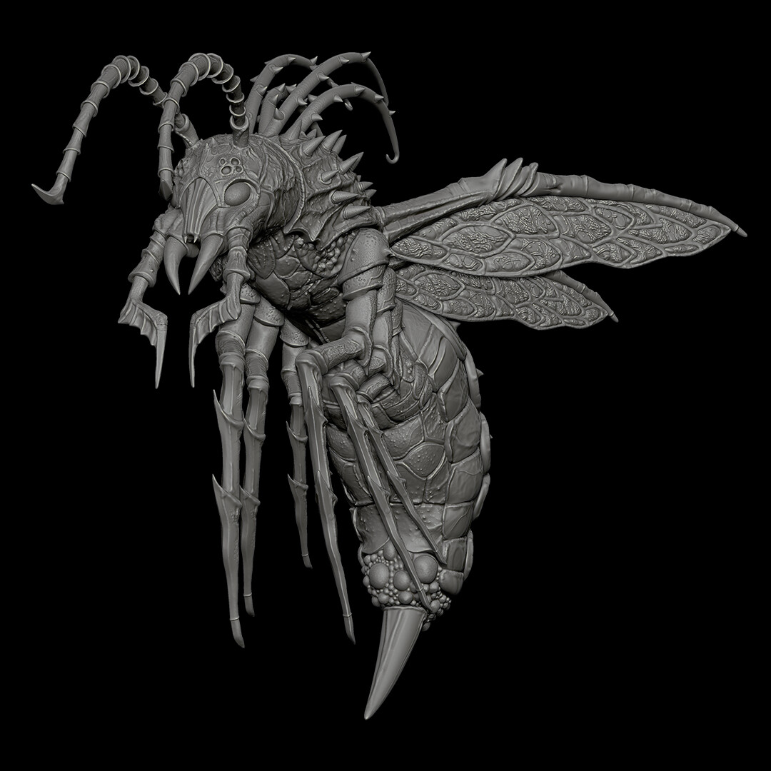 ArtStation - Insect Sketch