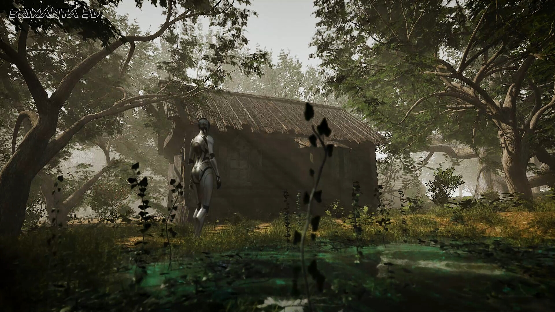 ArtStation - Forest environment modeling animation render