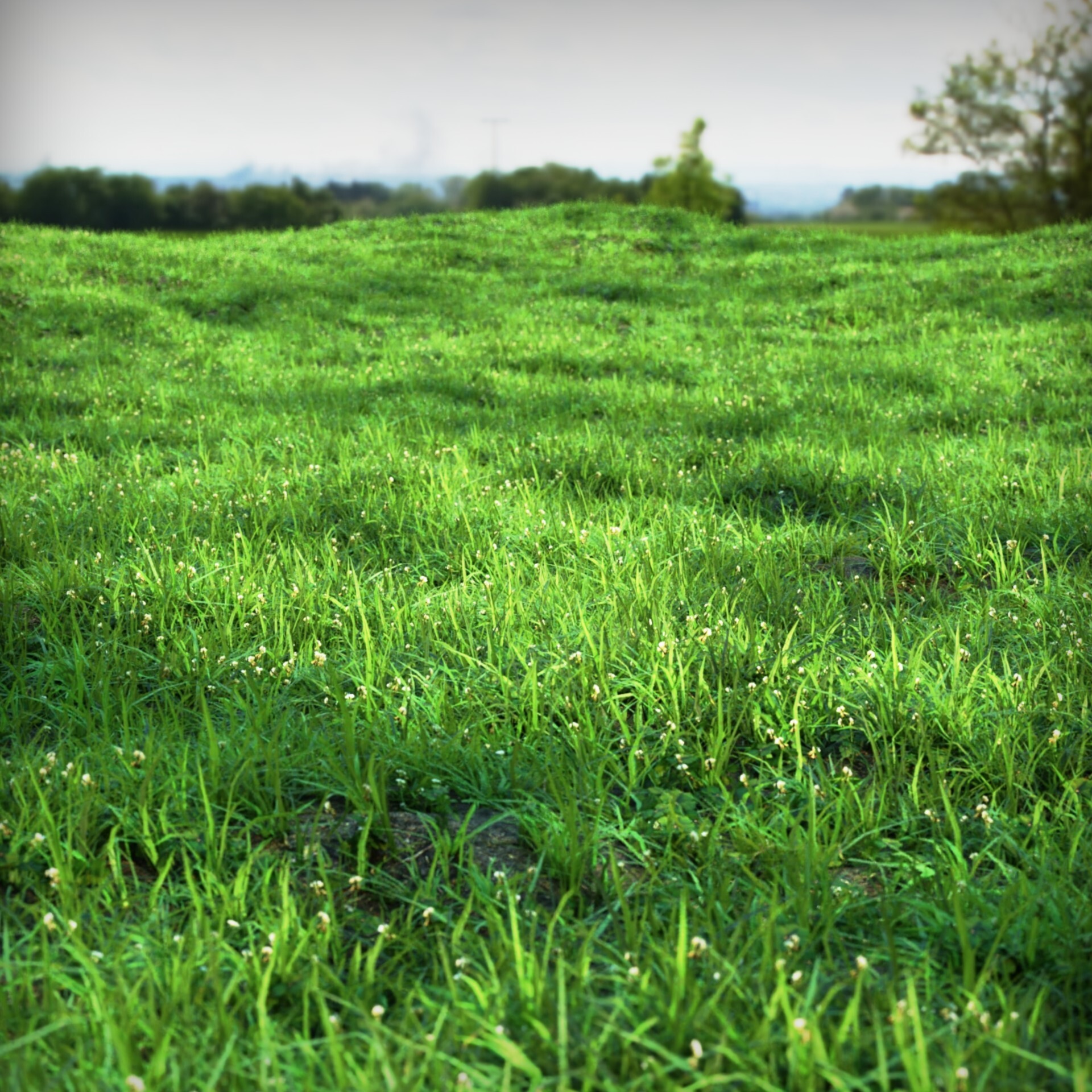 ArtStation - Creating Realistic Grass in Blender (Tutorial)
