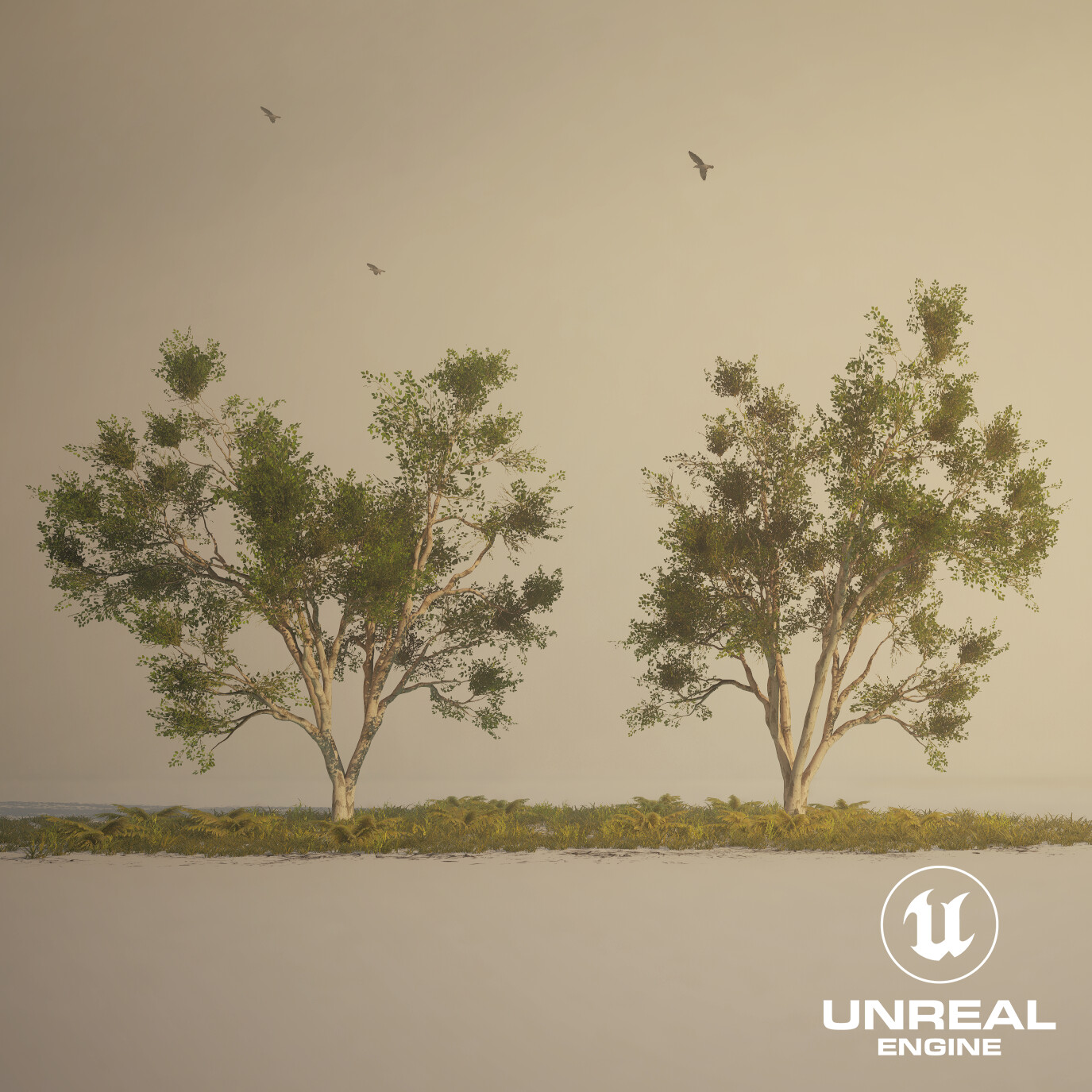 ArtStation - Birch Trees - Foliage study